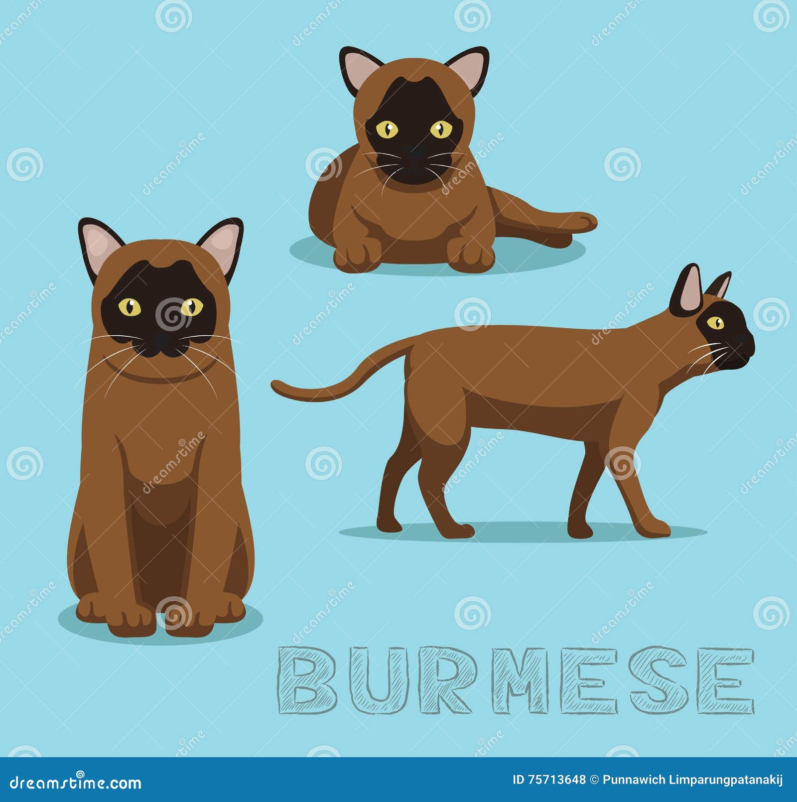 Cat Burmese Cat Cartoon Vector Illustration Stock Vector Illustration