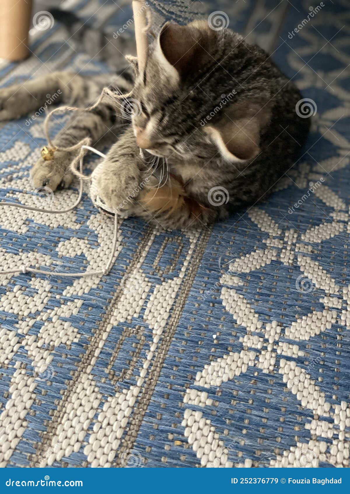 Cat busy with yarn stock image. Image of pattern, flooring - 252376779