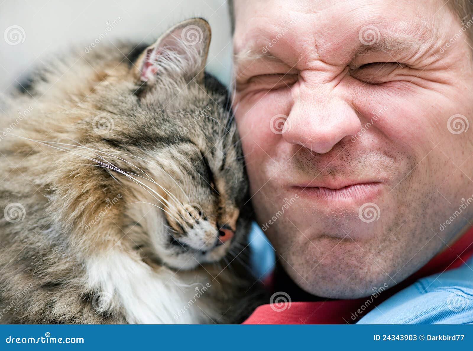 Cat care with man stock image. Image of feline, friend - 24343903