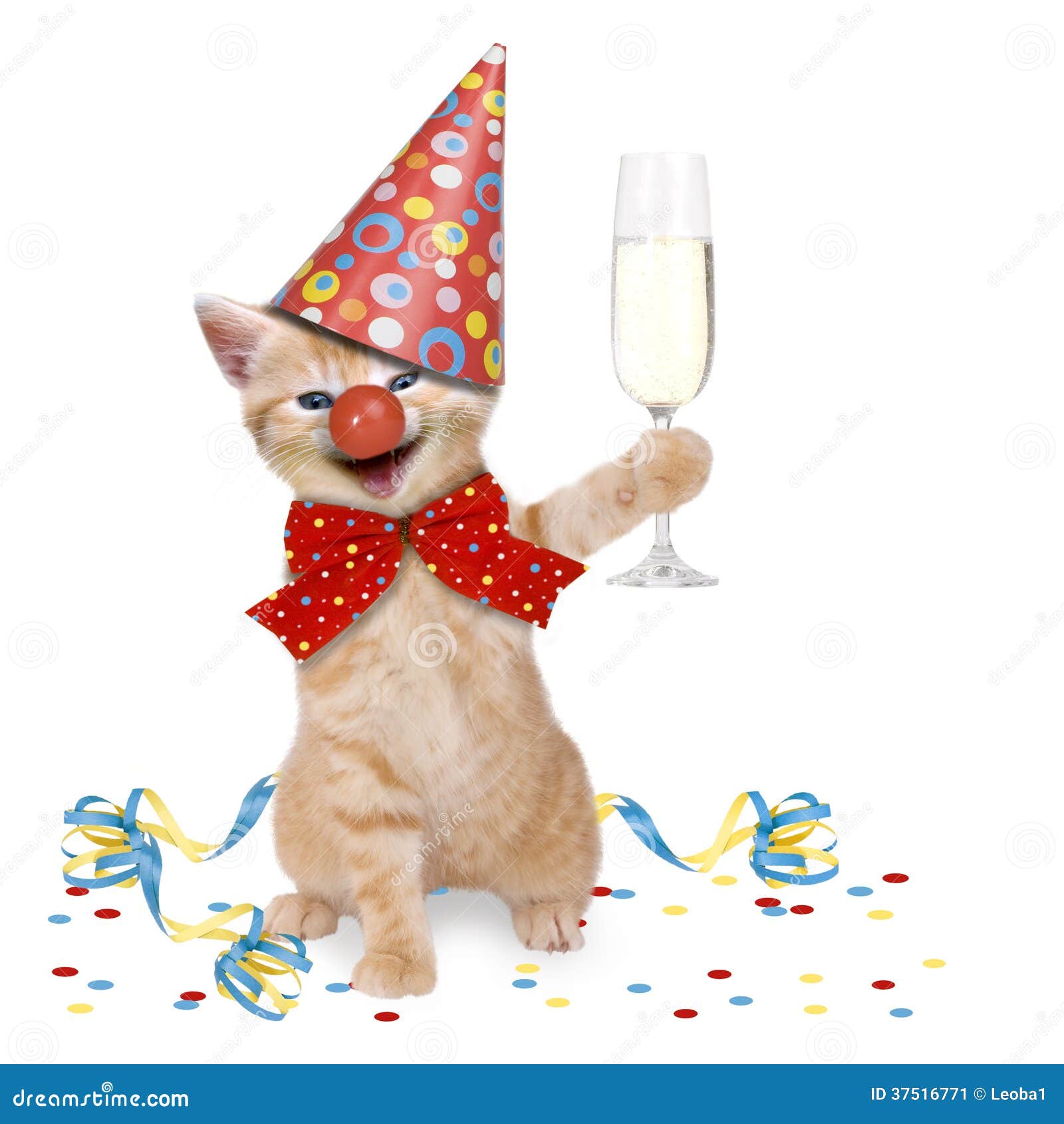 Cat Carnival/Partij stock afbeelding. Image of confetti - 37516771