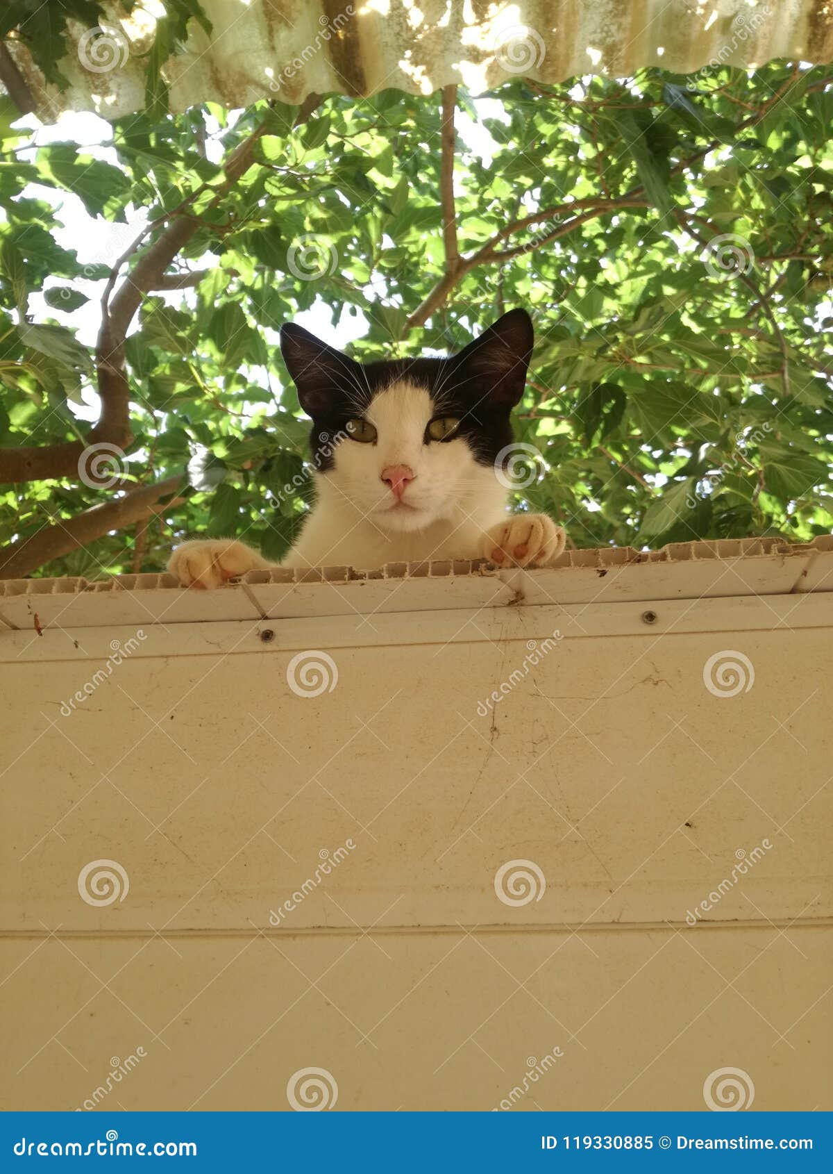 Hdjd Stock Photos - Free & Royalty-Free Stock Photos from Dreamstime