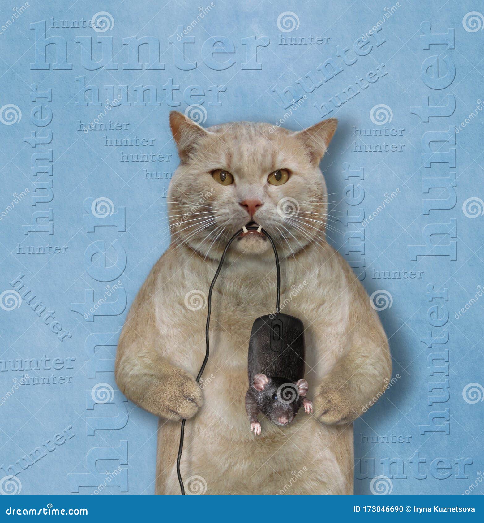 Cat Caught Computer Mouse 4 Stock Photo - Image of hunter, business ...