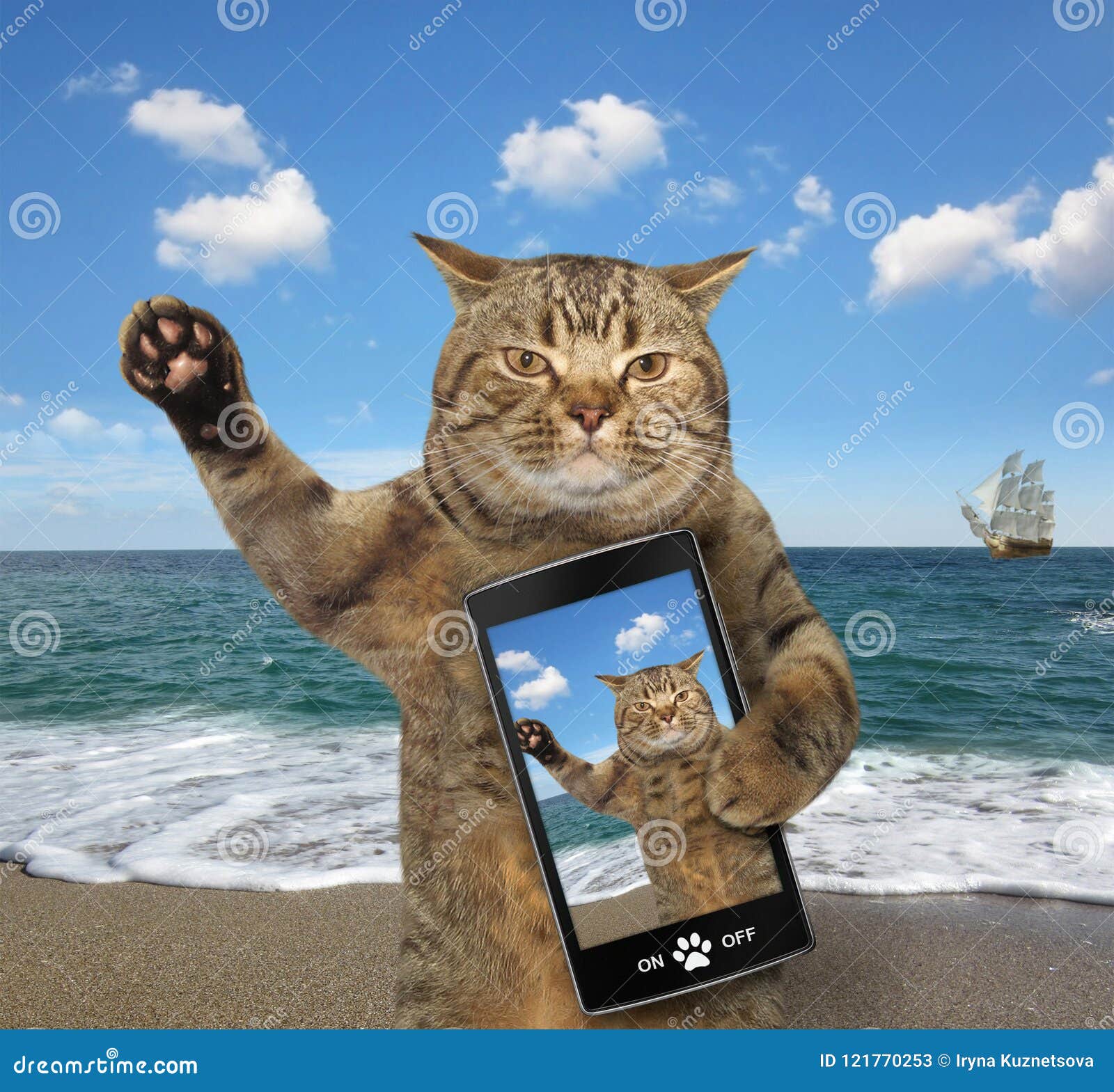 Cat with a cell phone stock image. Image of relax, wave - 121770253
