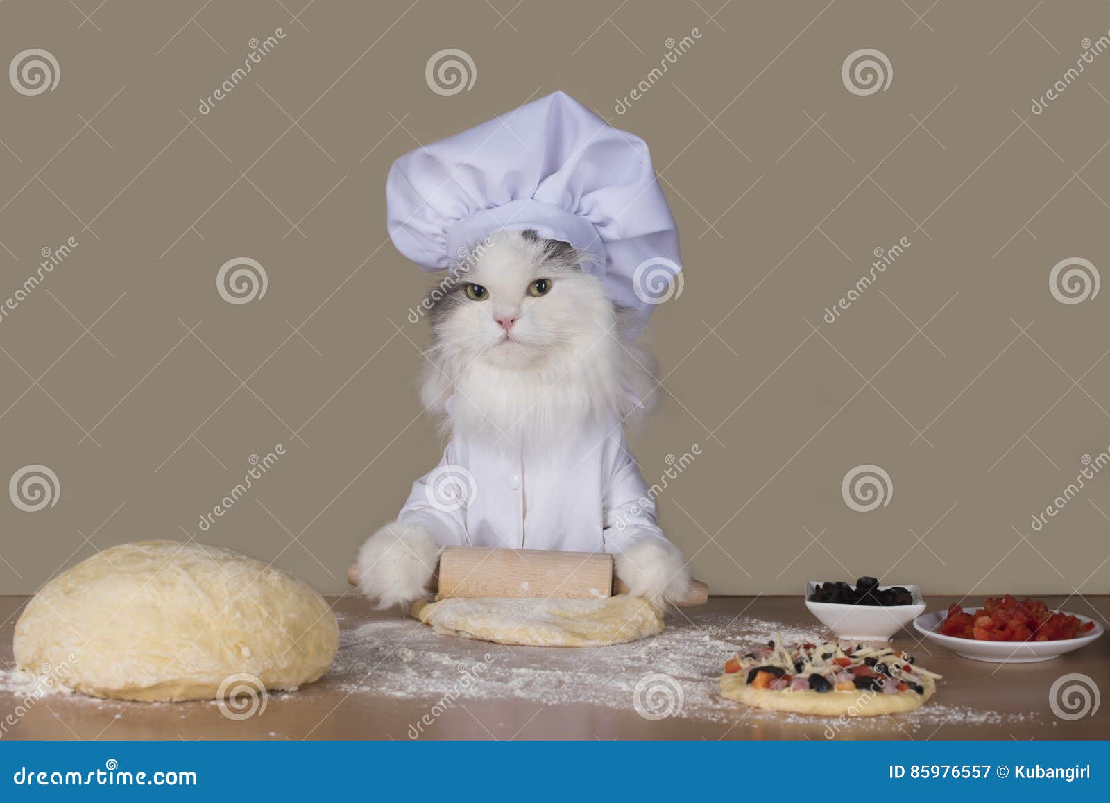 Cat chef preparing a pizza stock image. Image of olives - 85976557