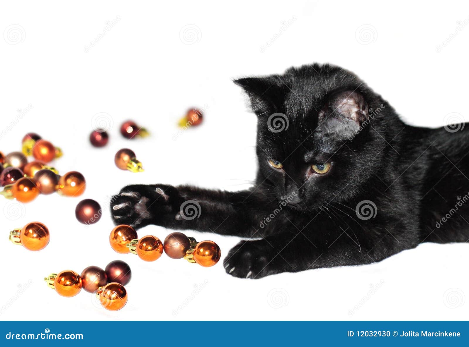 332 Christmas Cat Playing Balls Stock Photos - Free & Royalty-Free ...