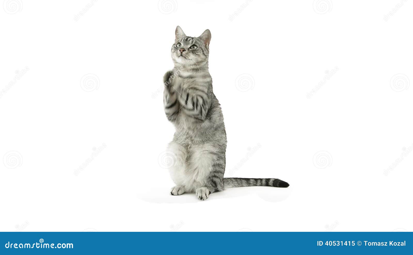 Royalty Free Images, Cartoons, Illustrations And Photos Designed By ...