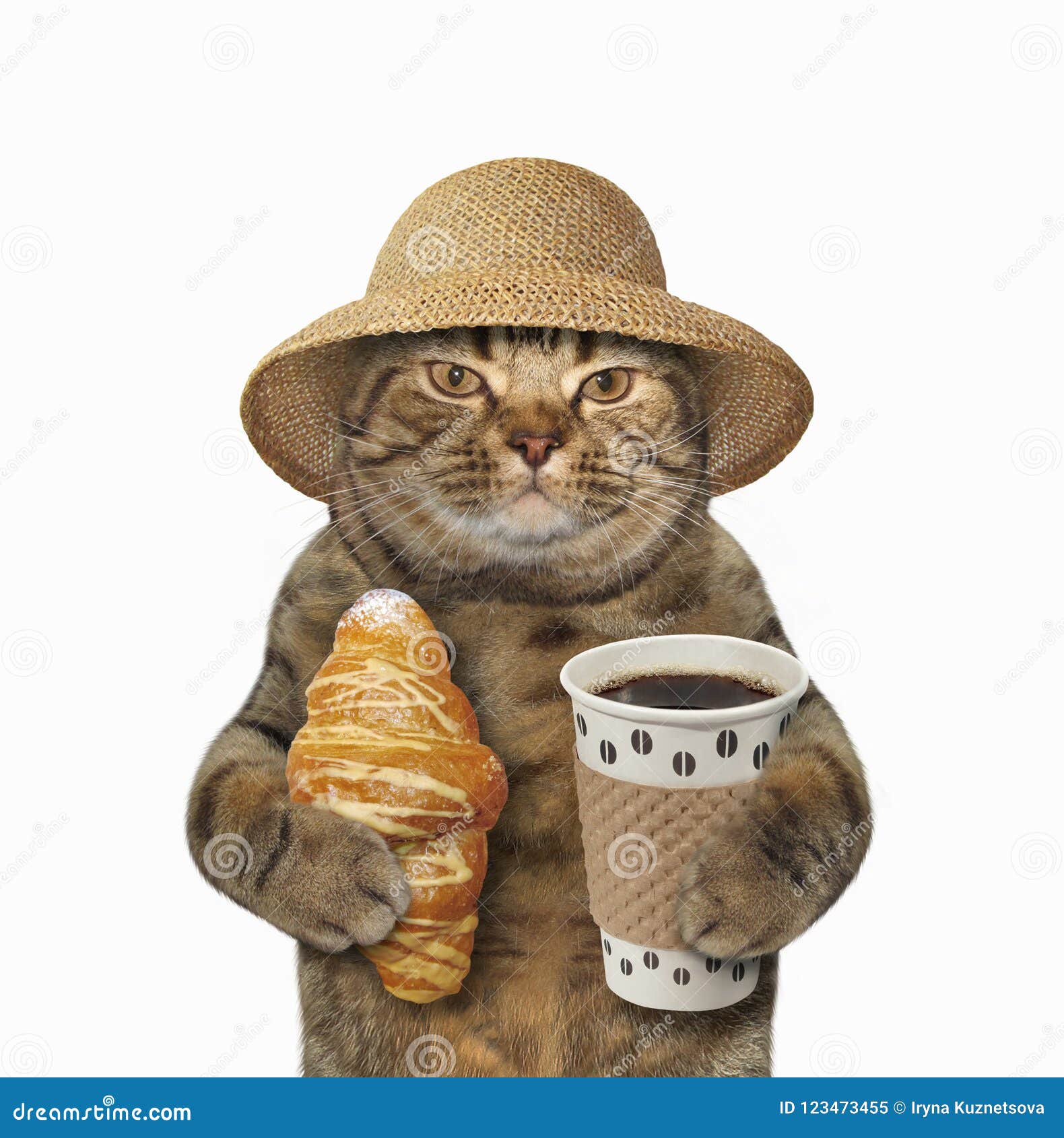 Cat with Coffee and Croissant 3 Stock Image - Image of bean, delicious ...