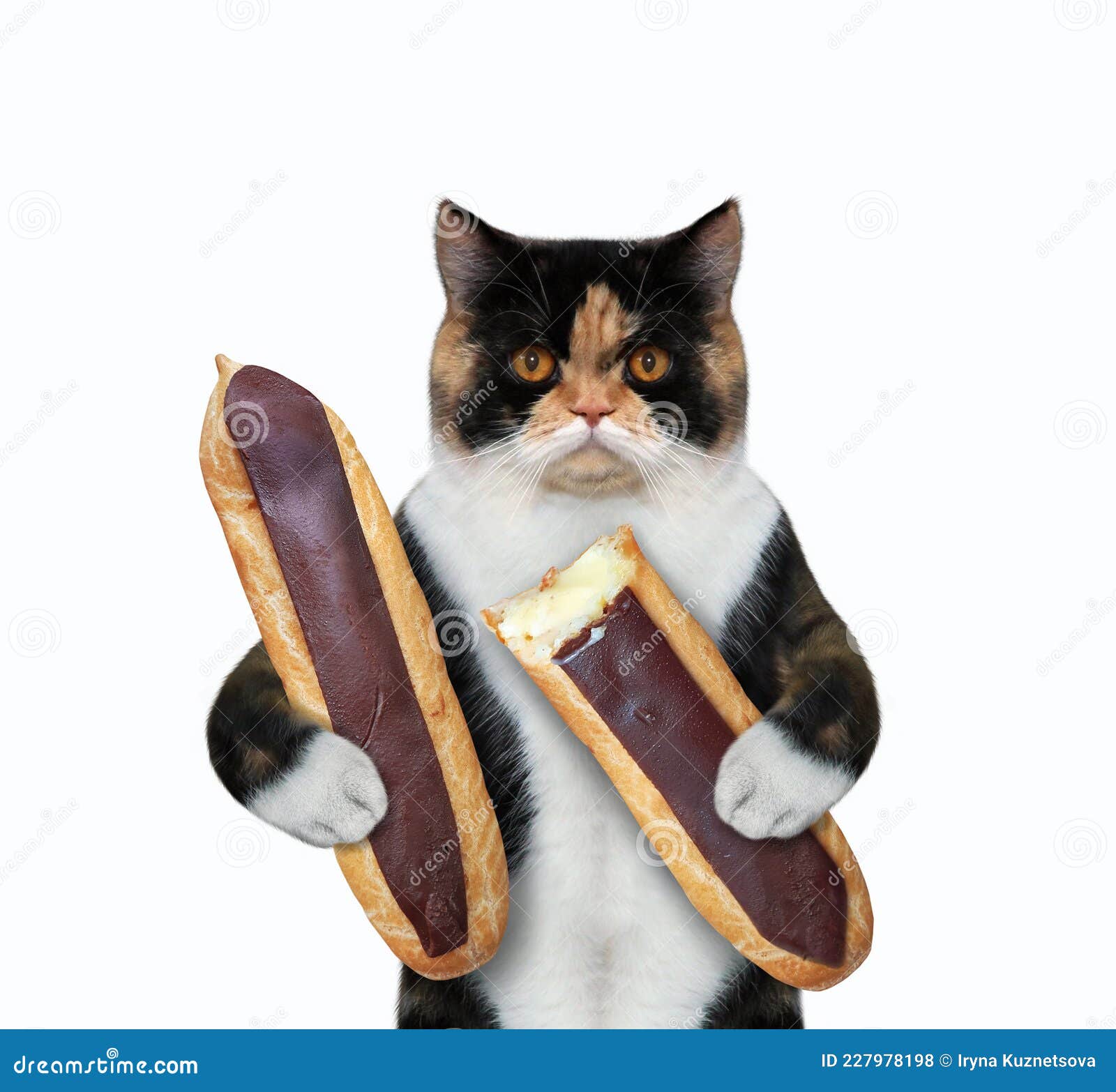 Cat Colored Eating Chocolate Eclairs Stock Photo - Image of rest ...