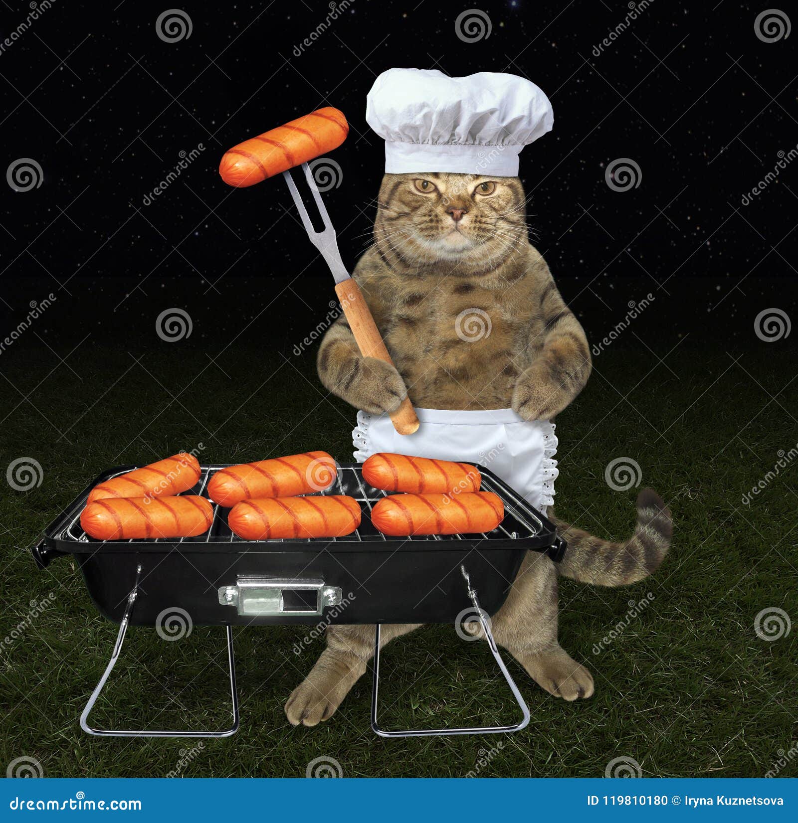 Cat Cooks Sausages on Grill Stock Photo - Image of party, roasted ...