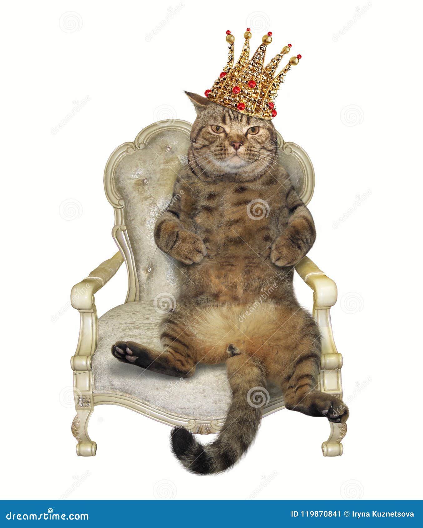 Cat in crown on throne stock image. Image of background - 119870841