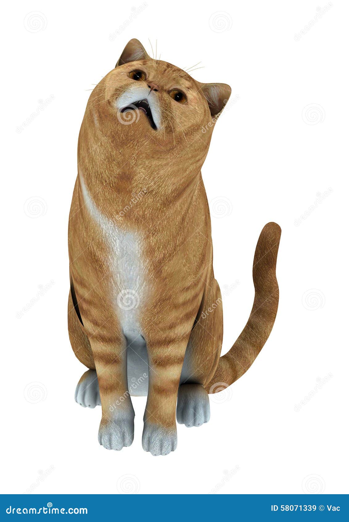 Cat stock illustration. Illustration of animal, begging - 58071339