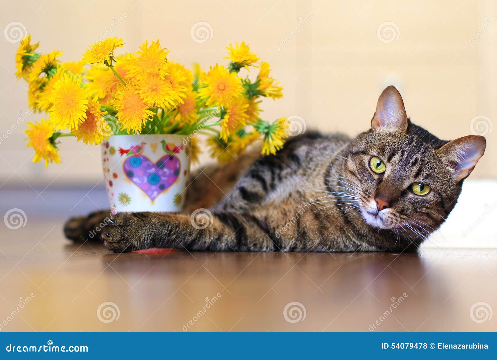 Cat and dandelions stock photo. Image of animal, bouquet - 54079478