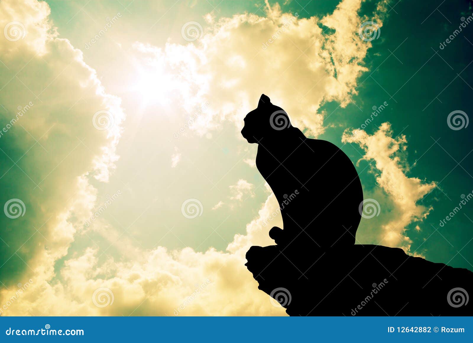 Cat and deep sky stock photo. Image of body, animal, feline - 12642882