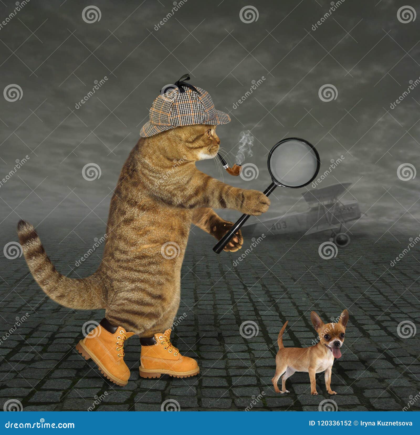 Cat detective at airfield stock photo. Image of funny - 120336152