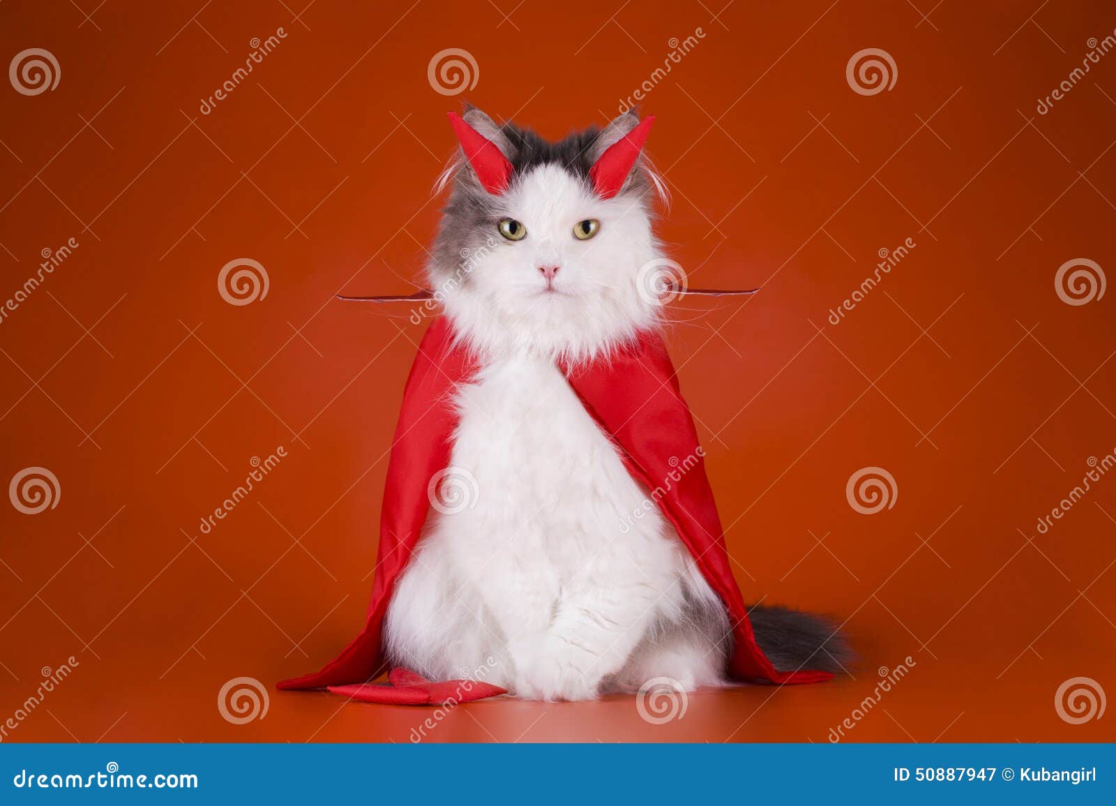 Cat in a devil costume stock image. Image of costume - 50887947