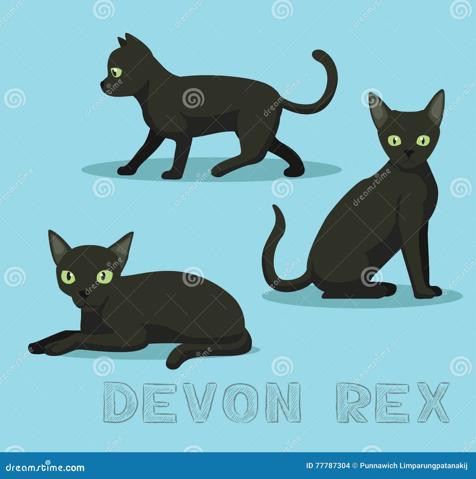 Cat Devon Rex Cartoon Vector Illustration Stock Vector - Illustration ...
