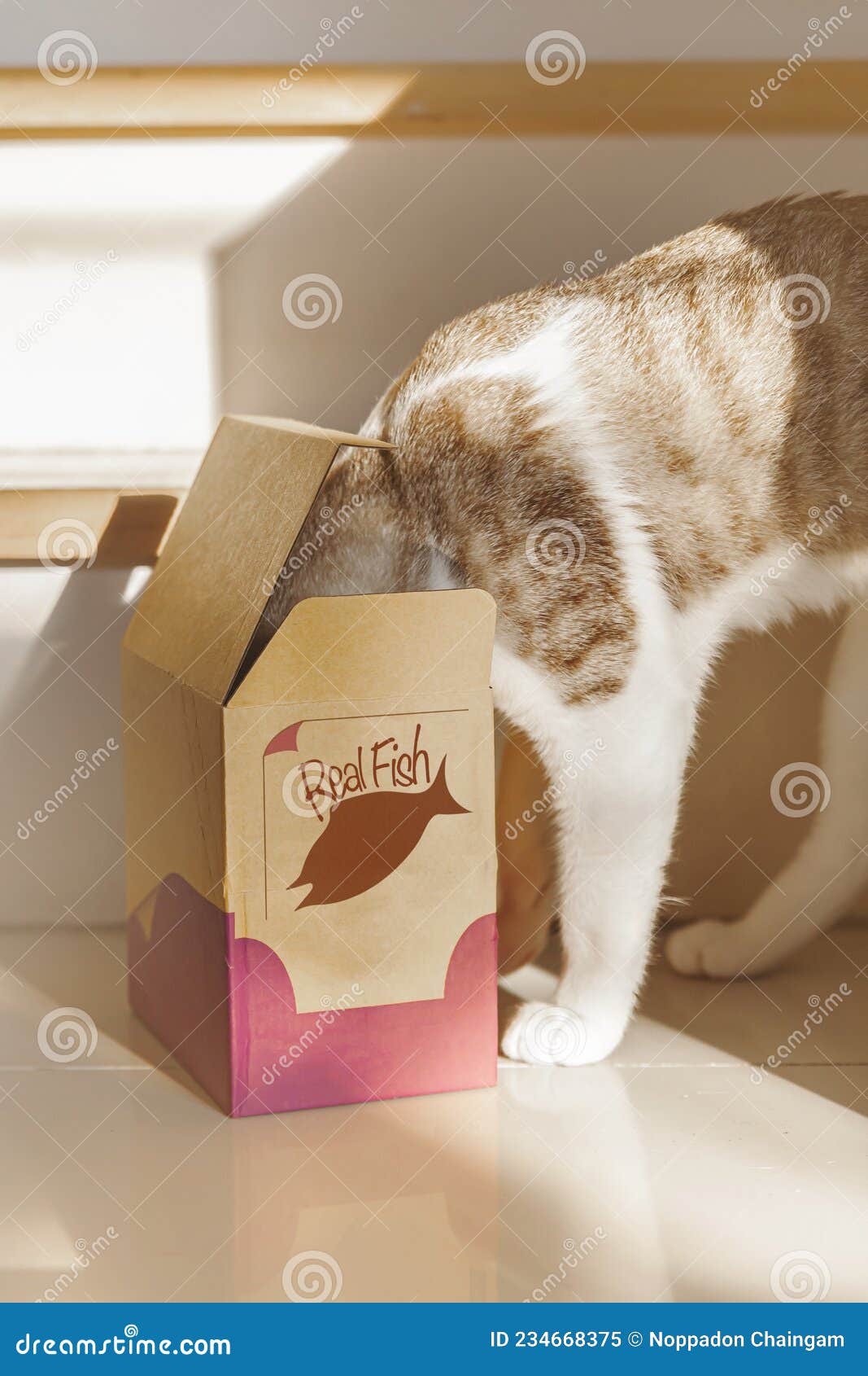 A Cat Digs Its Head into a Box of Food Products. Stock Image - Image of ...