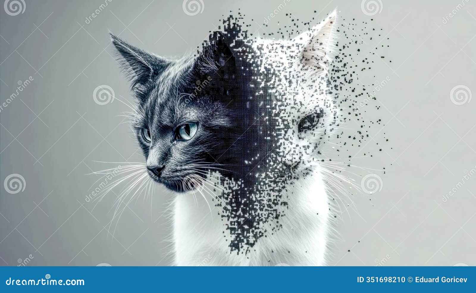 Cat Dissolving into Pixels Showing Concept of Change and Transformation ...