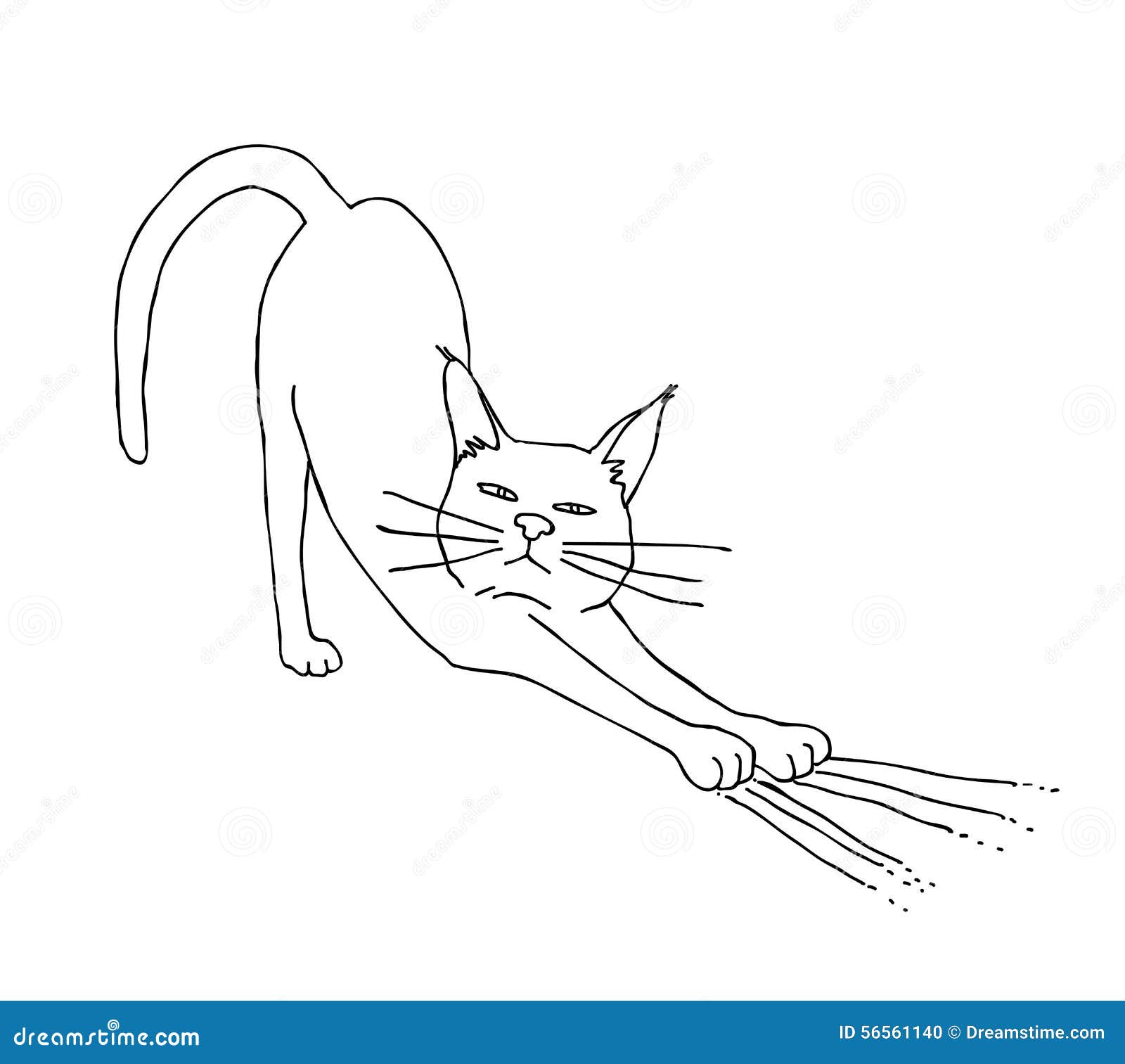 Cat doing fitness stock vector. Illustration of yawn - 56561140