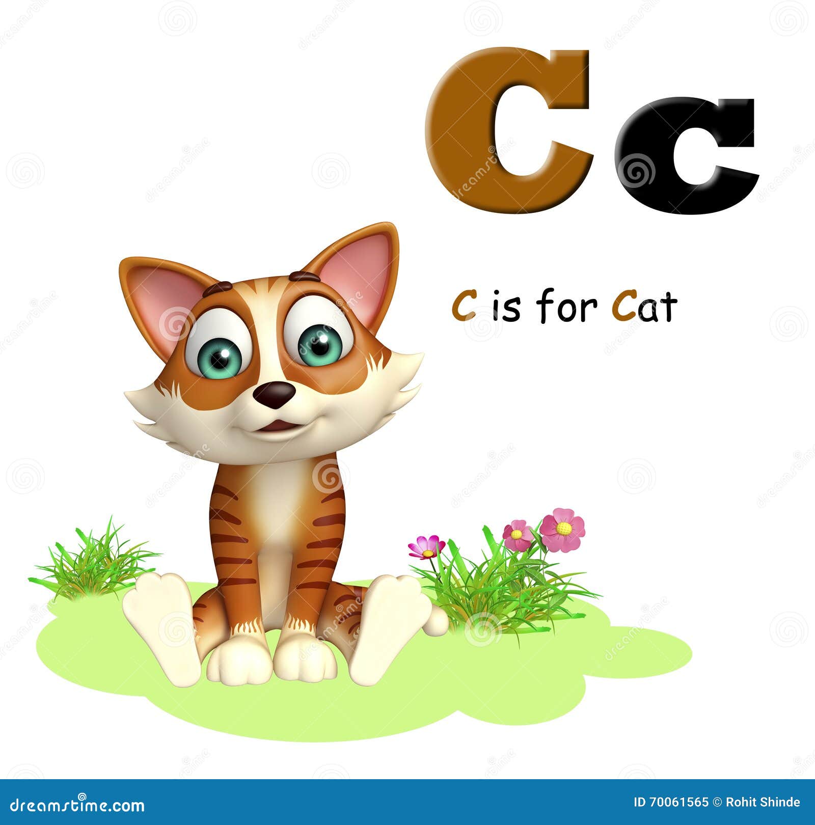 Cat Domastic Animal with Alphabte Stock Illustration - Illustration of ...