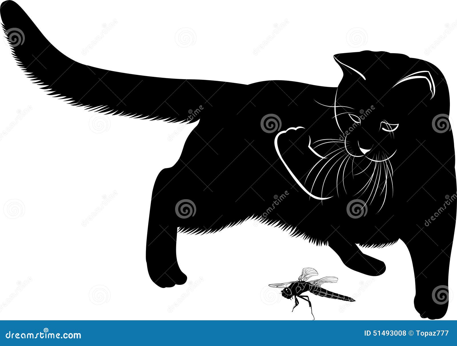 Cat and dragonfly stock vector. Illustration of beauty - 51493008
