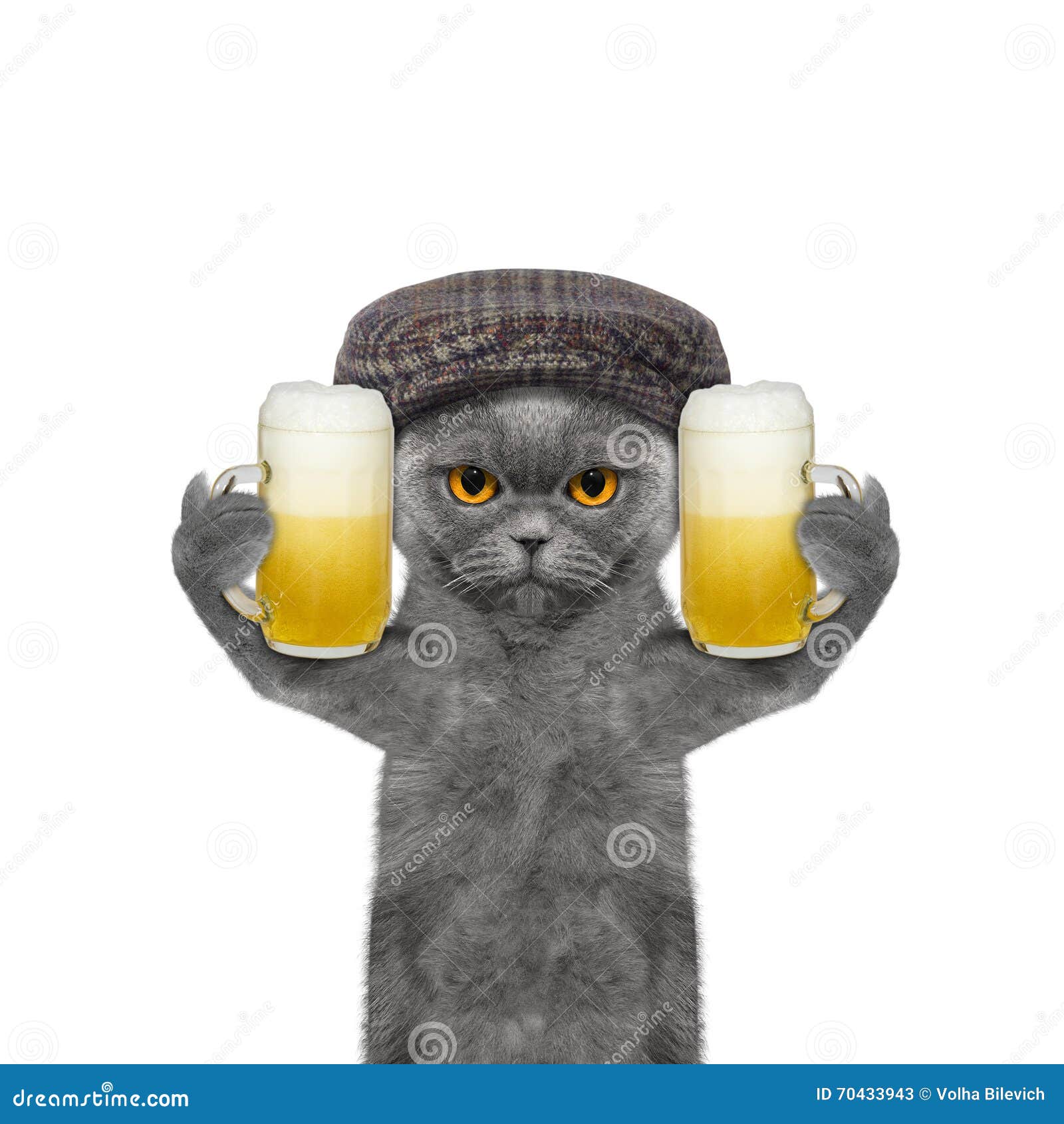Cat Drinks Beer and Greeting Somebody Stock Image - Image of alcohol ...