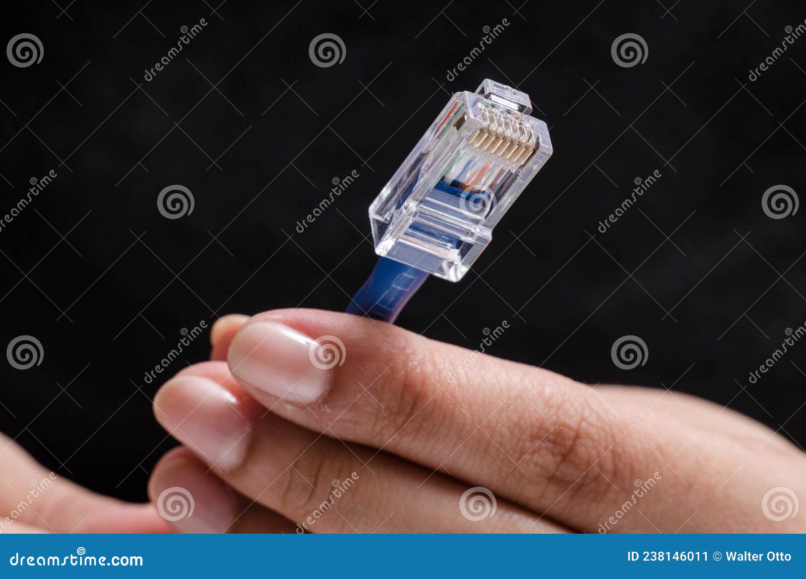 Ethernet Plug for Internet Connection Stock Image - Image of internet ...