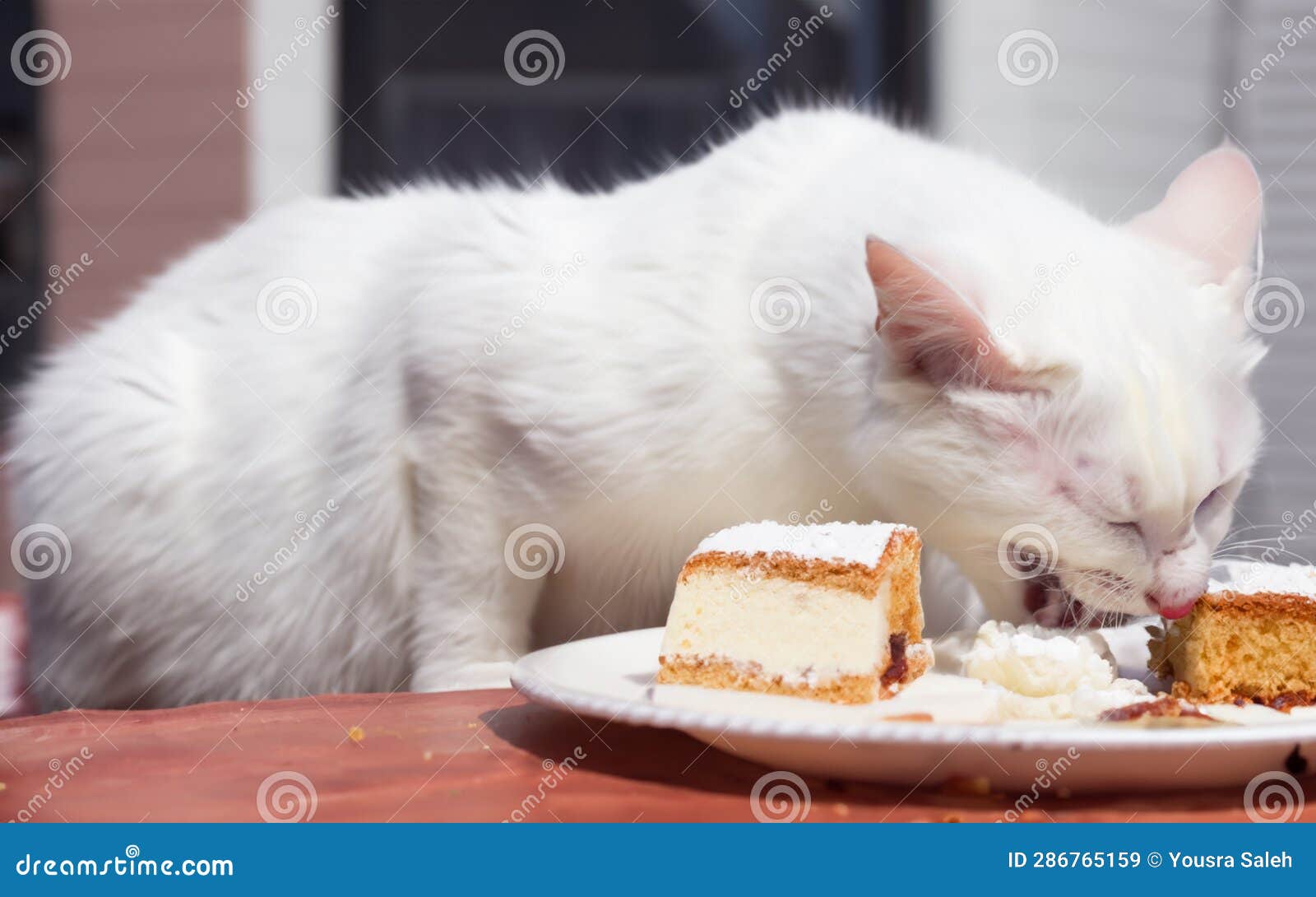 Cat Eating Cake - AI Generated Content Stock Illustration ...