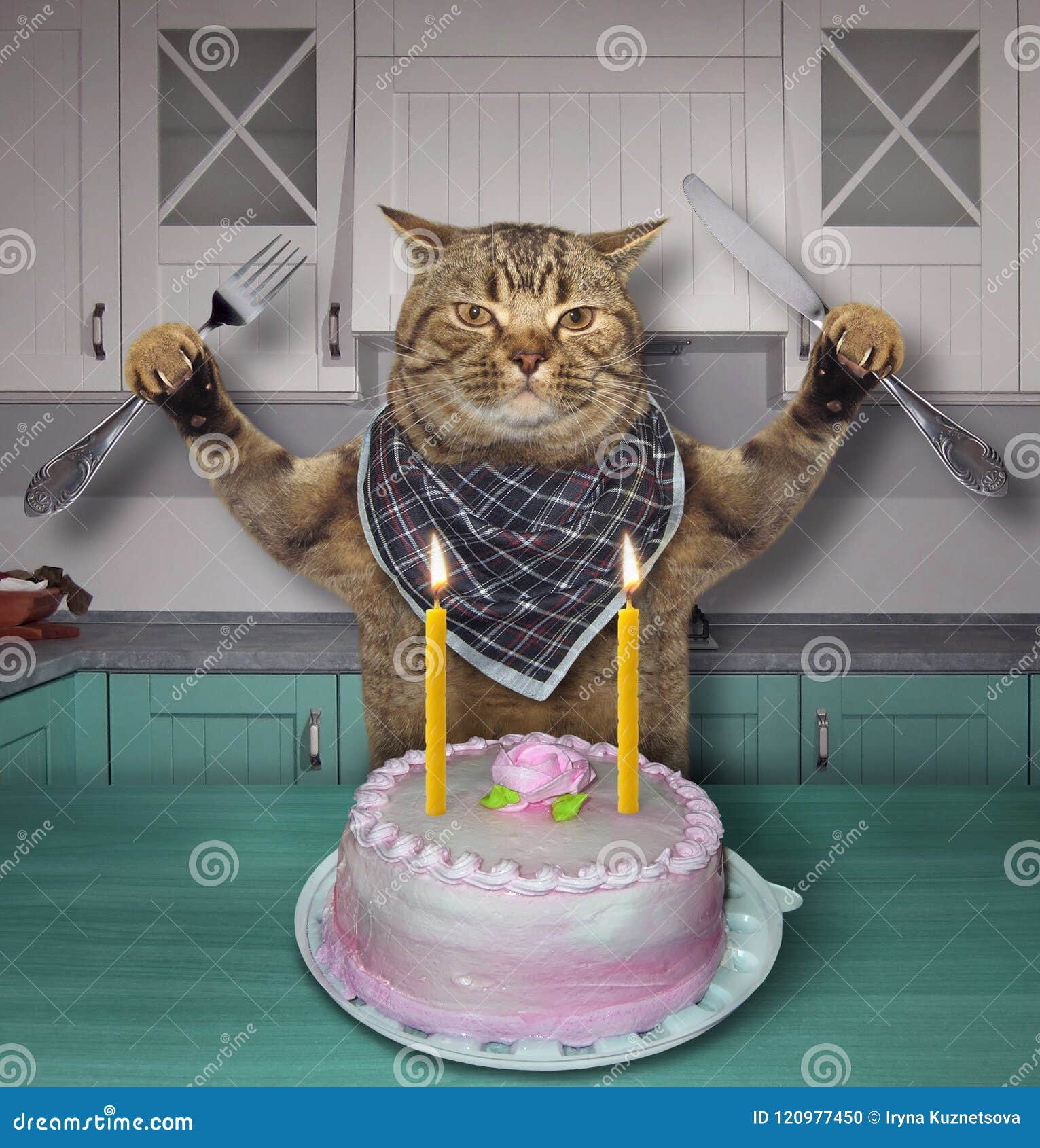 Cat eats the birthday cake stock photo. Image of party - 120977450