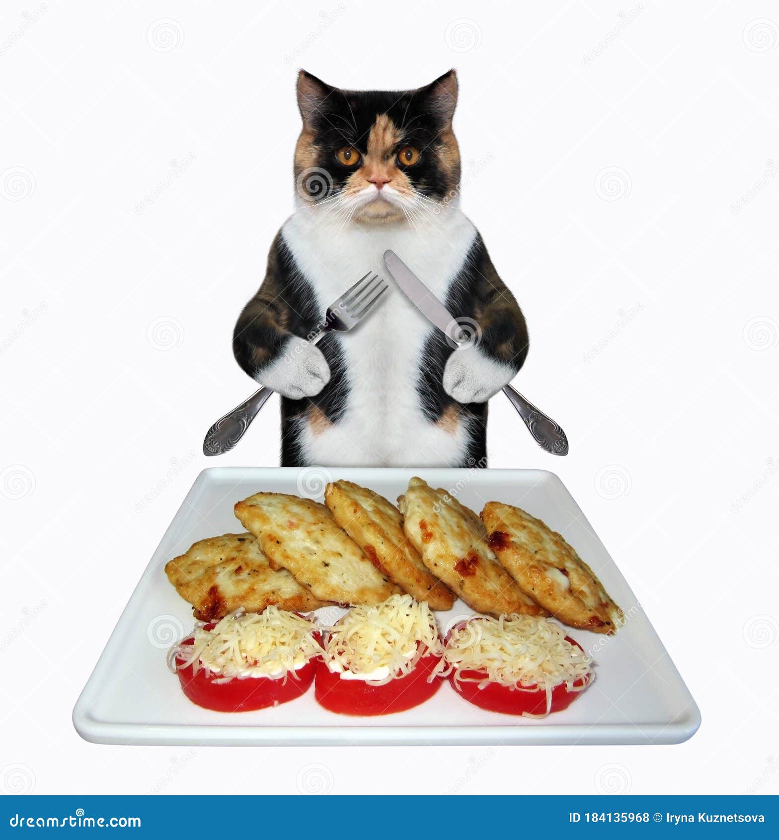 Cat Eats Cutlets with Tomatoes 2 Stock Photo - Image of break, cook ...
