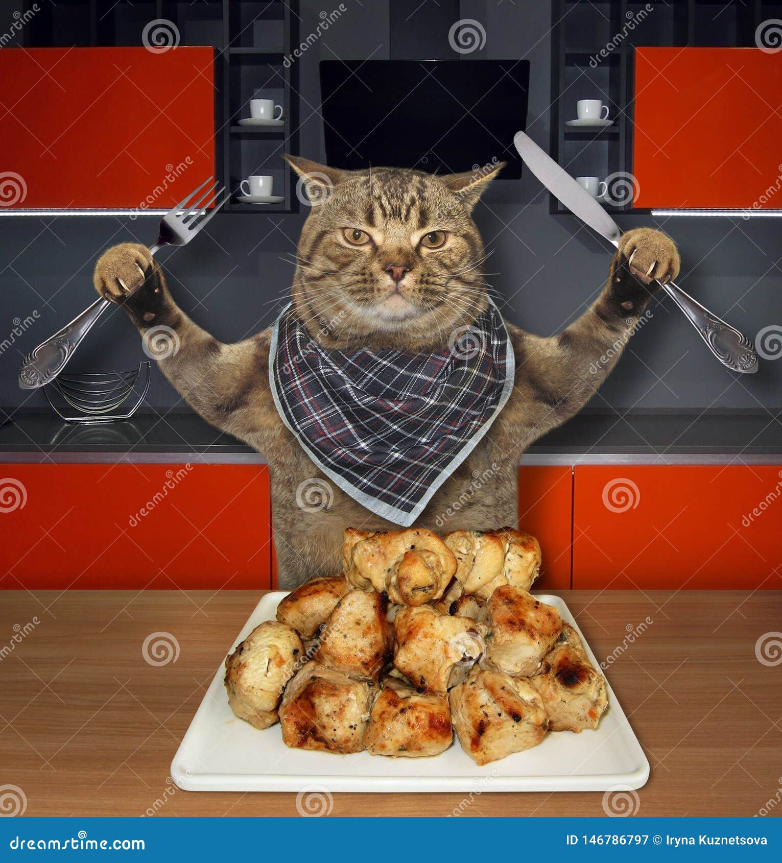 Cat Eats Grilled Meat in a Kitchen Stock Image - Image of dining, full ...