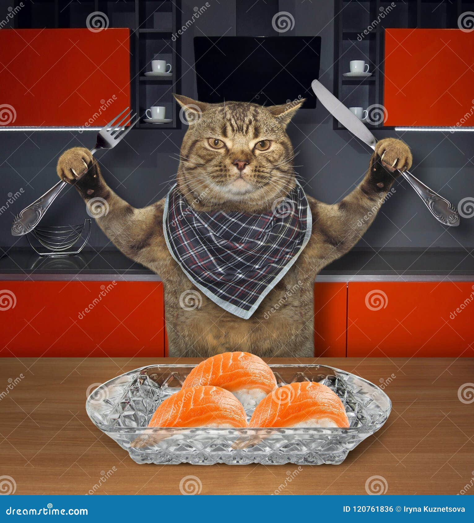 Cat Eats Sushi in the Kitchen 2 Stock Photo - Image of neckerchief ...