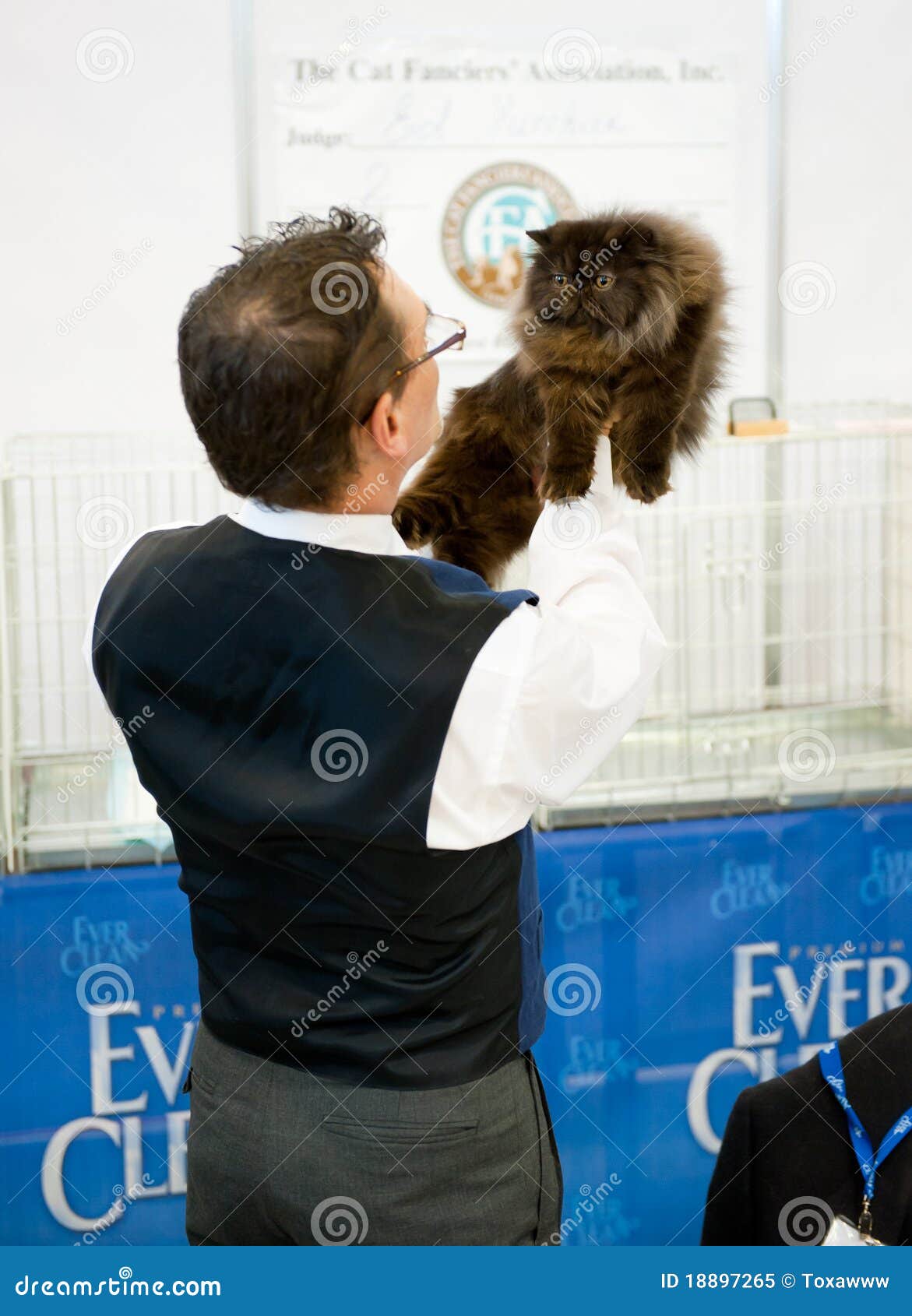 114 Cat Judge Stock Photos - Free & Royalty-Free Stock Photos from ...