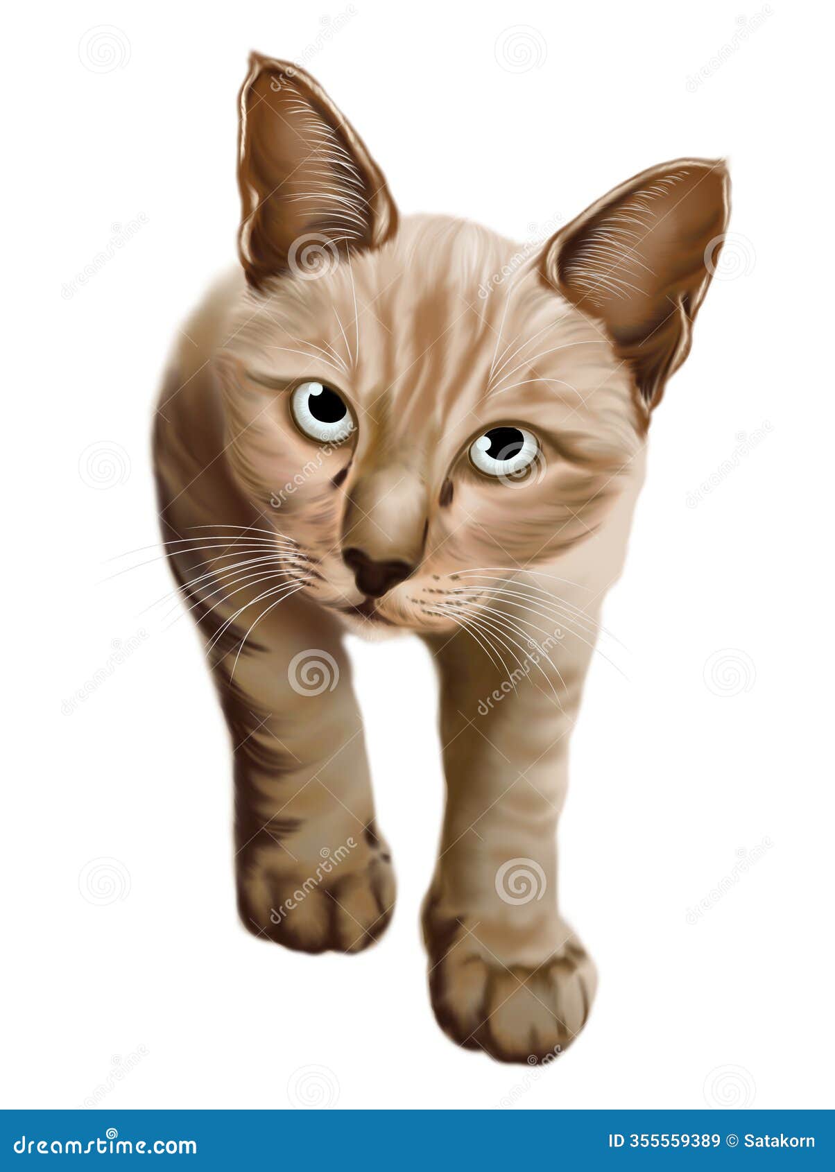 A Cat the Expression of Doubt Stock Illustration - Illustration of serious, attractive: 355559389