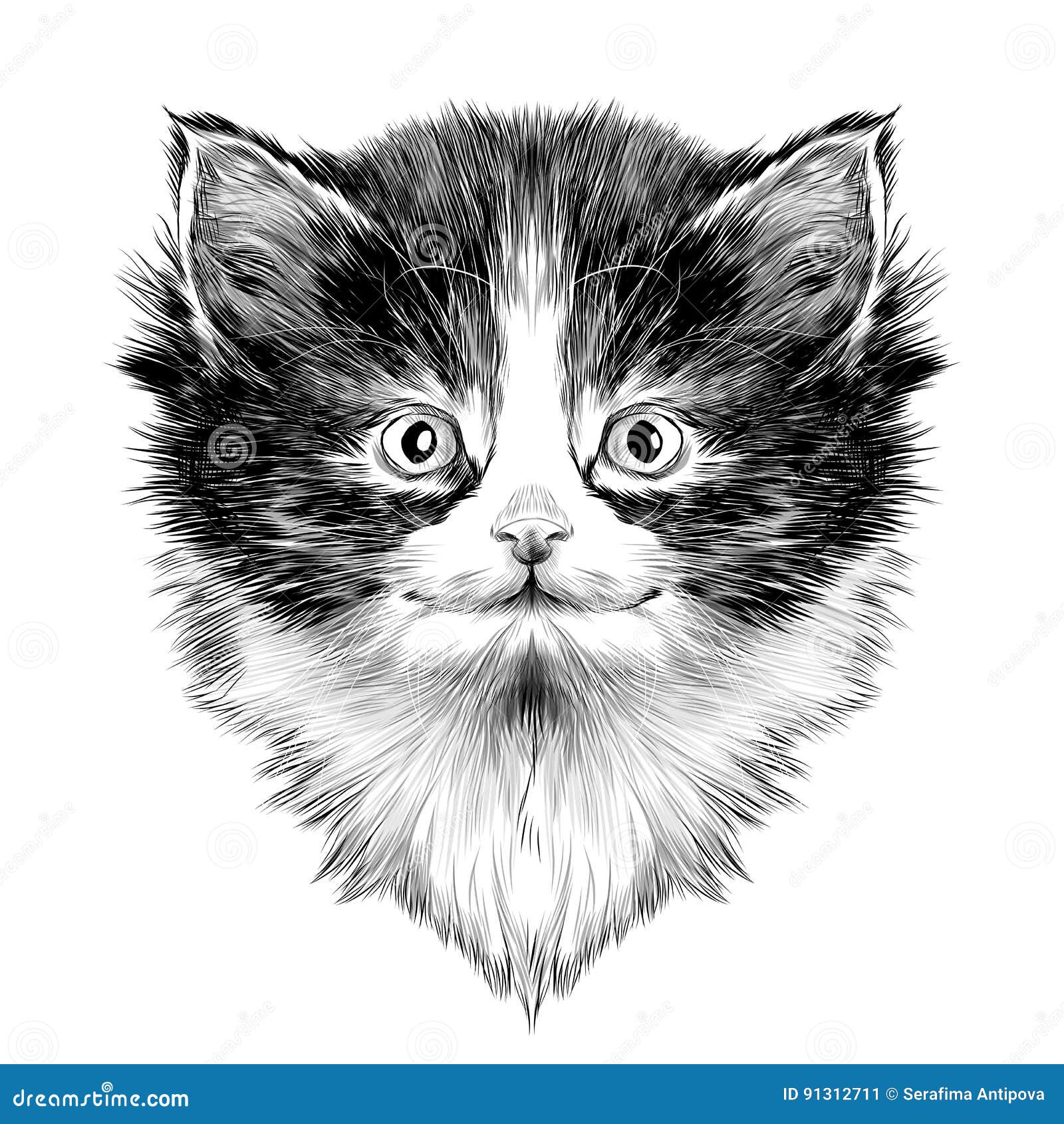 Cat face sketch vector stock vector. Illustration of funny - 91312711