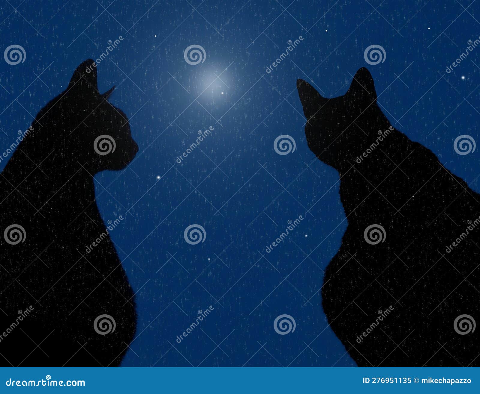 Cat with Falling Stars and Moon at Night Stock Image - Image of sunset ...