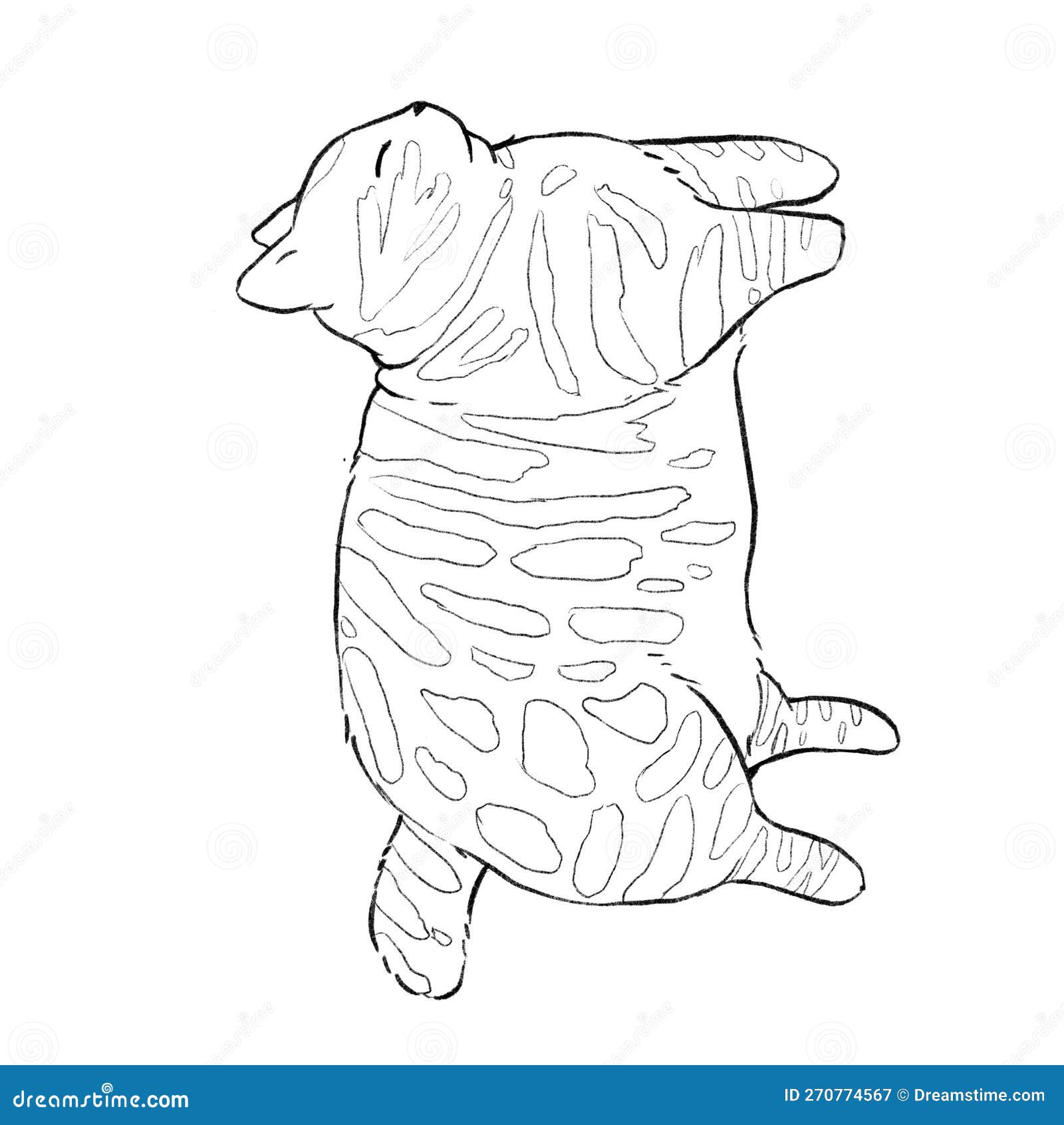 Fat Tabby Cat Lying on the Floor. Line Art for Coloring Stock ...