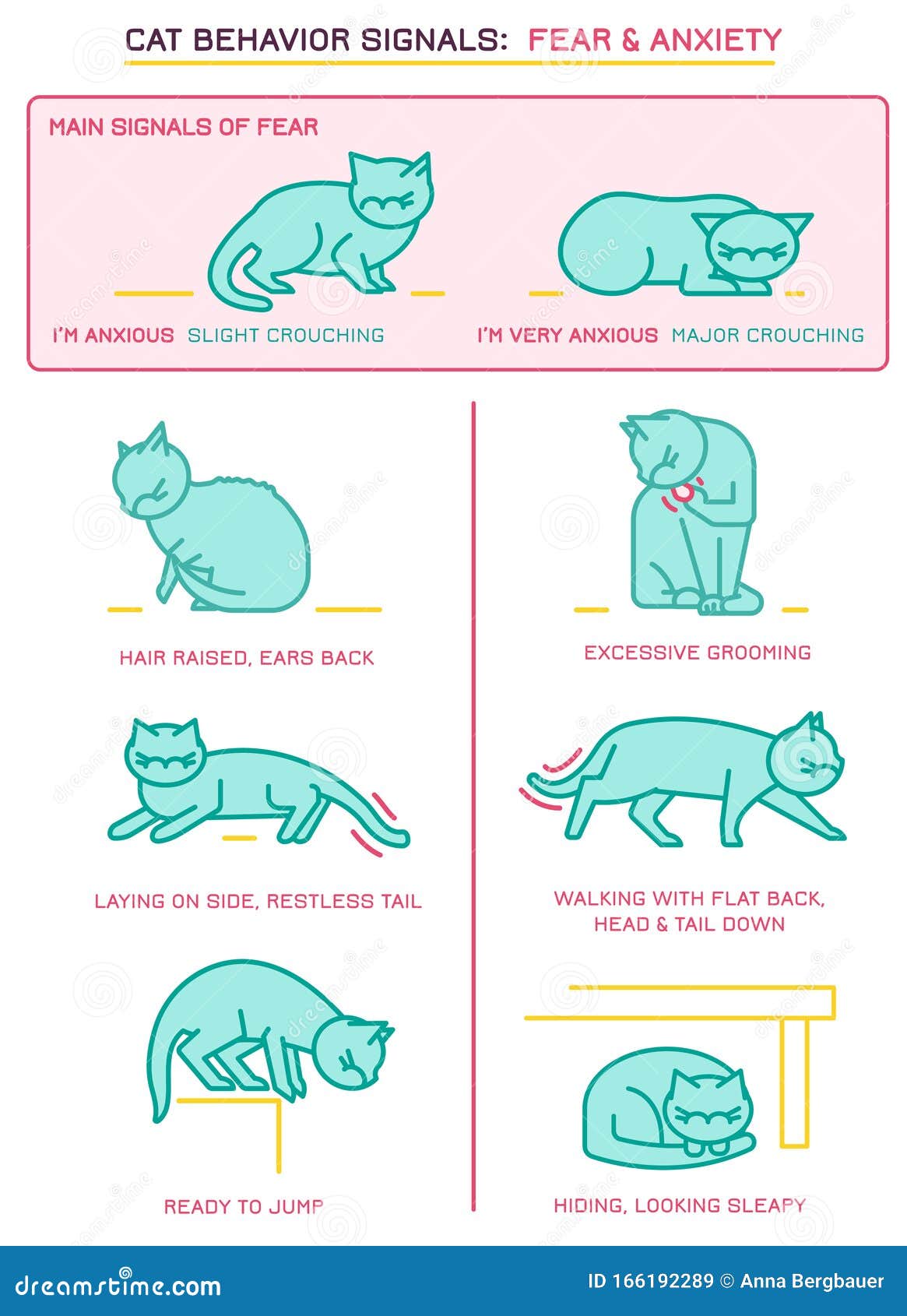 Cat Fearful Behavior Signals Stock Vector - Illustration of pose, house ... Cat Fearful Behavior Signals Stock Vector - Illustration of pose, house ...
