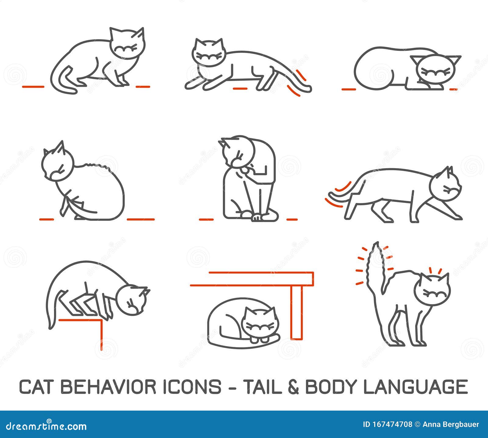 Cat Fearful Behavior Signals Cartoon Vector | CartoonDealer.com #166192289 Cat Fearful Behavior Signals Cartoon Vector | CartoonDealer.com #166192289