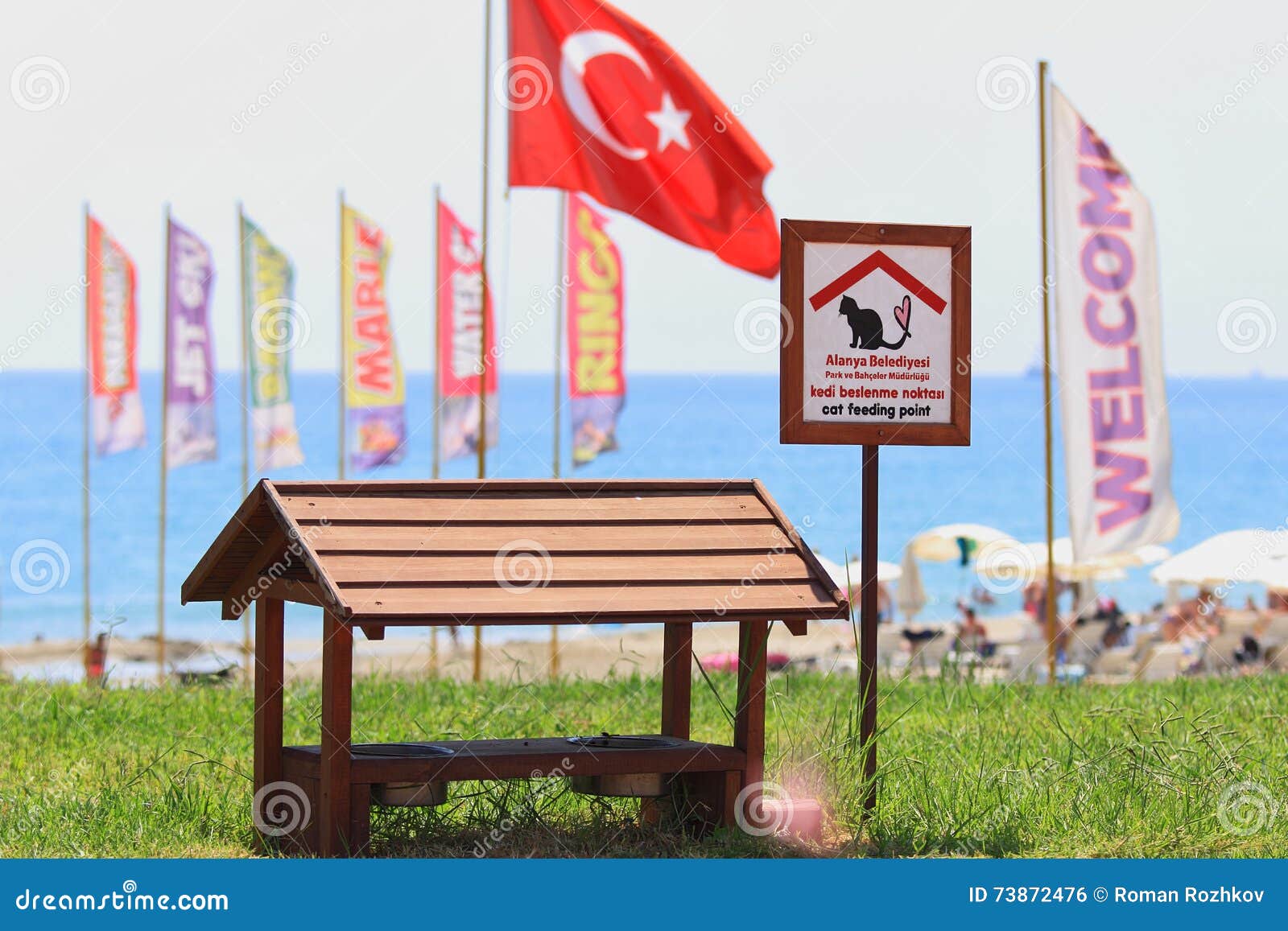 Cat Feeding Point. Alanya,Turkey Stock Photo - Image of street, city ...