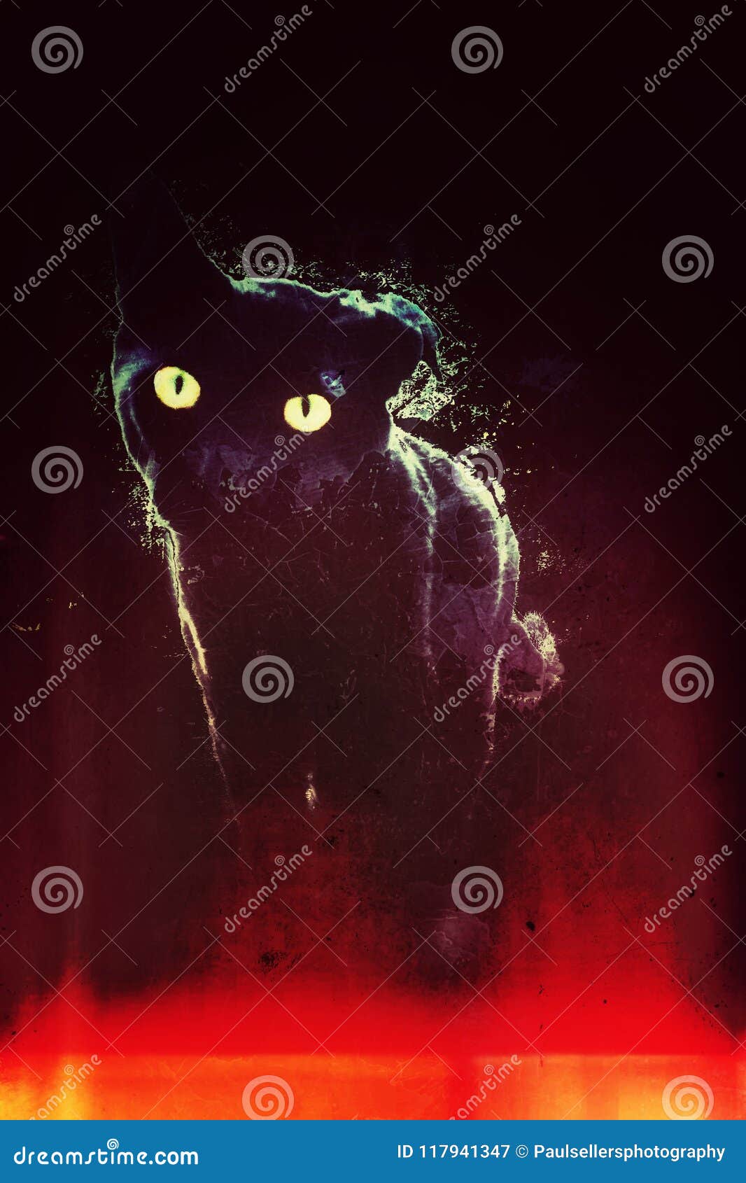 Cat in fire stock image. Image of outline, black, fire - 117941347