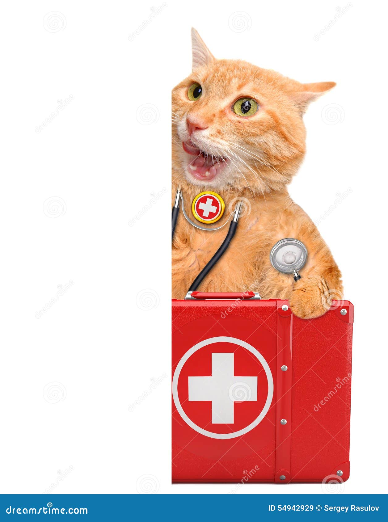 Cat with a first aid kit. stock image. Image of cross - 54942929