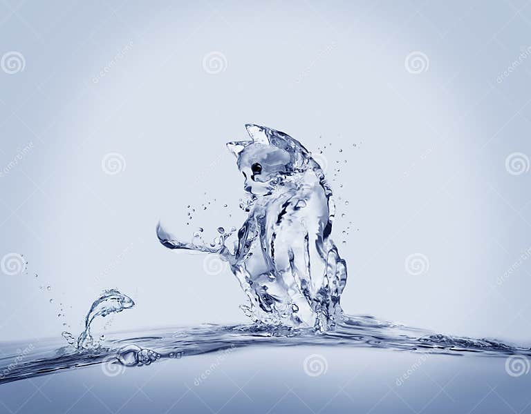 Cat and Fish stock image. Image of gazing, cute, manipulation - 134218447