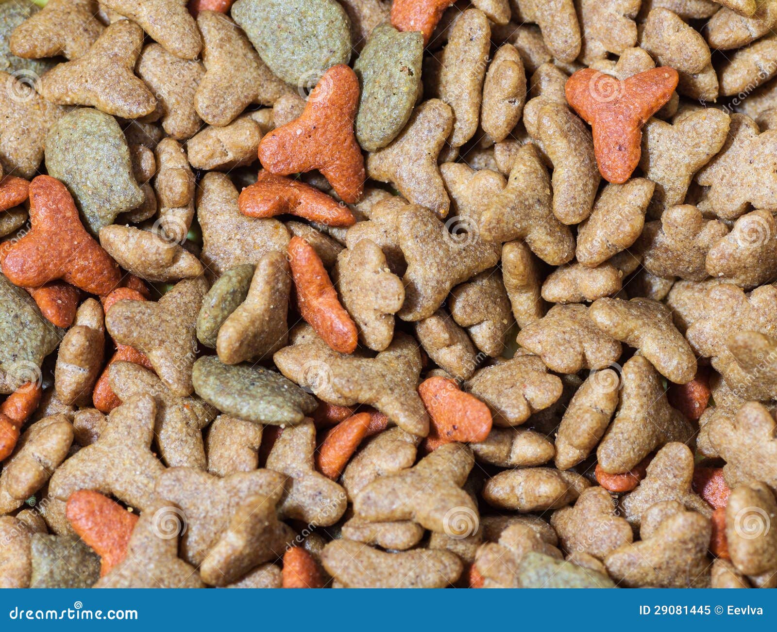 Cat food. stock image. Image of yummy, store, feed, food - 29081445