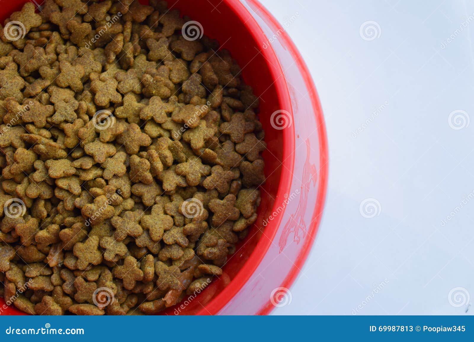 Cat food red dish stock image. Image of dogfood, catfood - 69987813