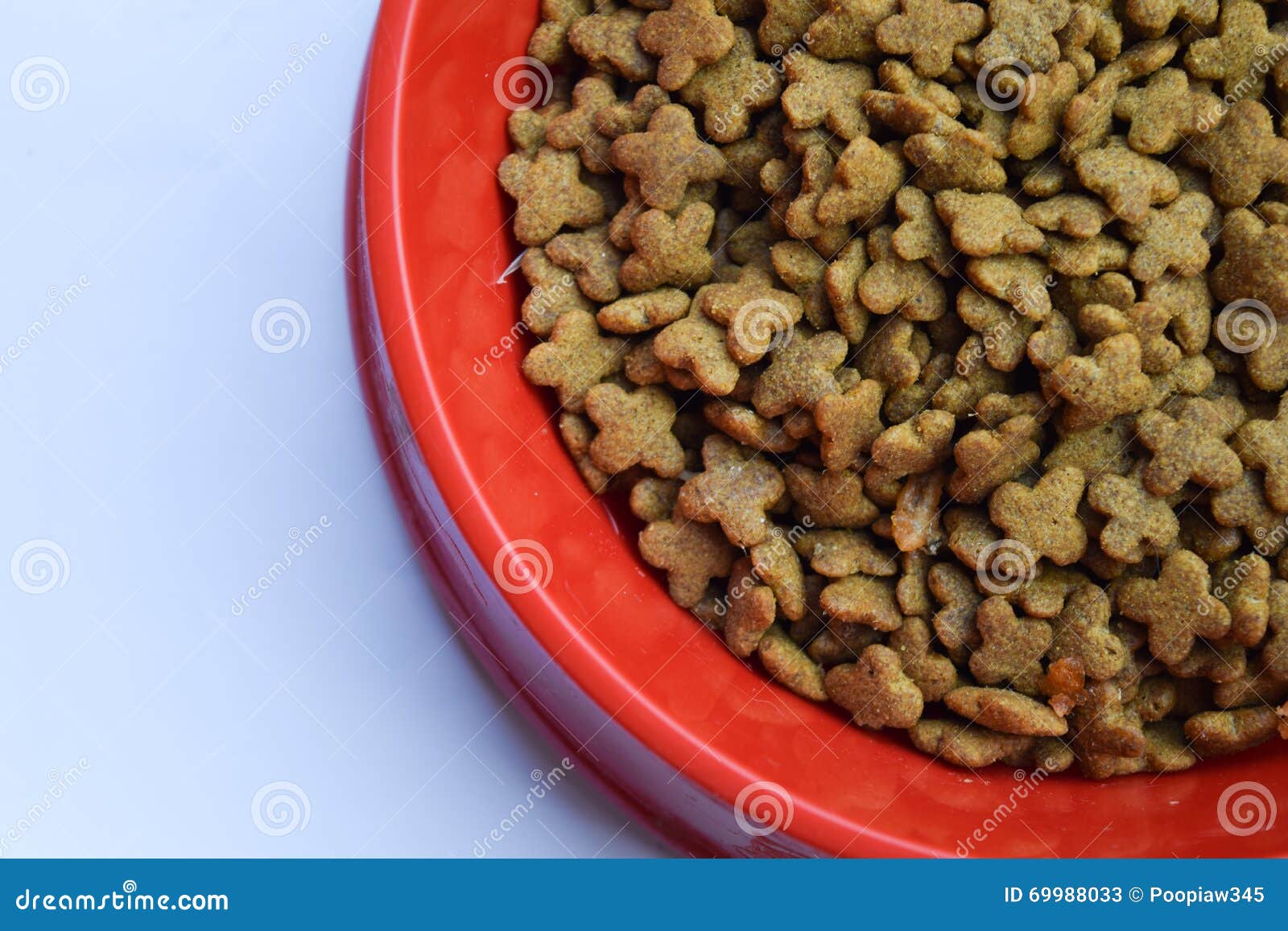 Cat food red dish stock image. Image of stuffing, dogfood - 69988033