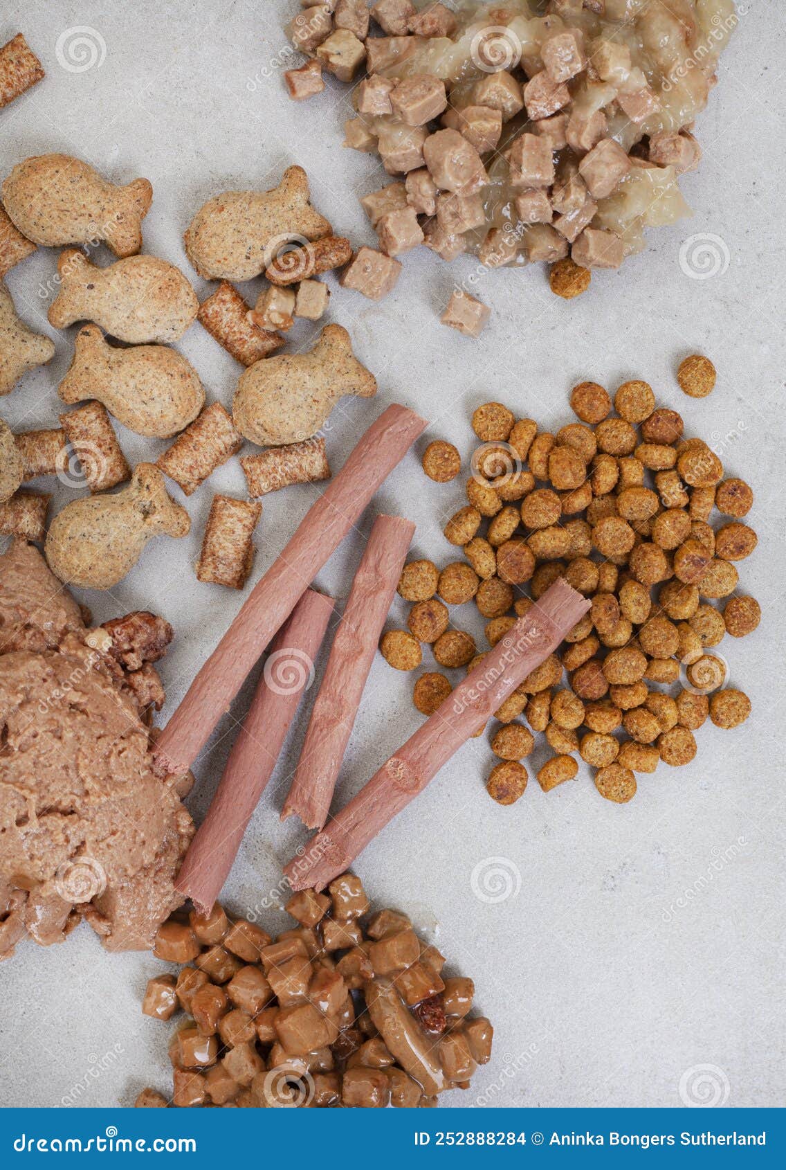Cat Food Selection, Kitty Delicious Stock Photo - Image of nourishment ...