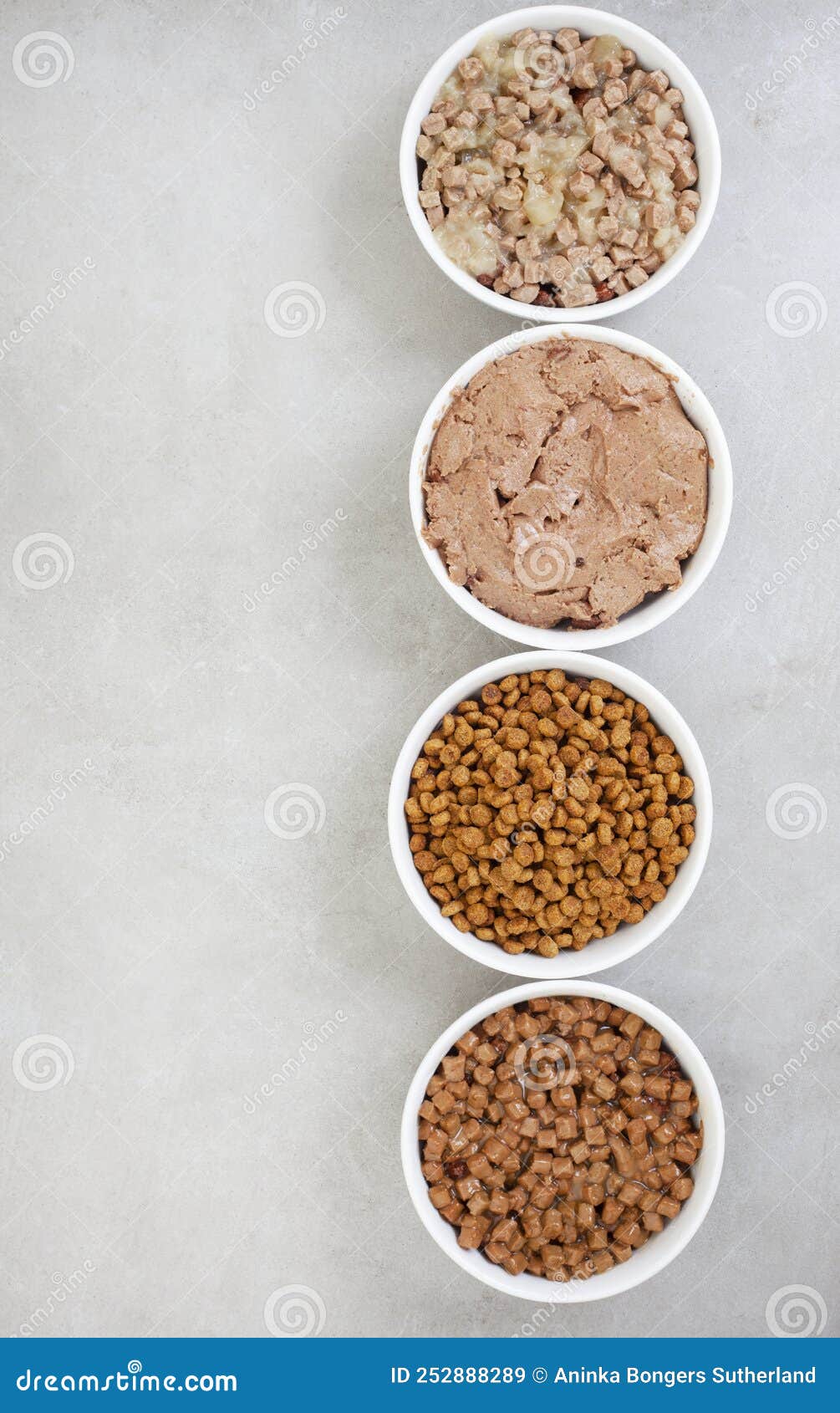 Cat Food Selection, Kitty Delicious Stock Image - Image of ingredient ...