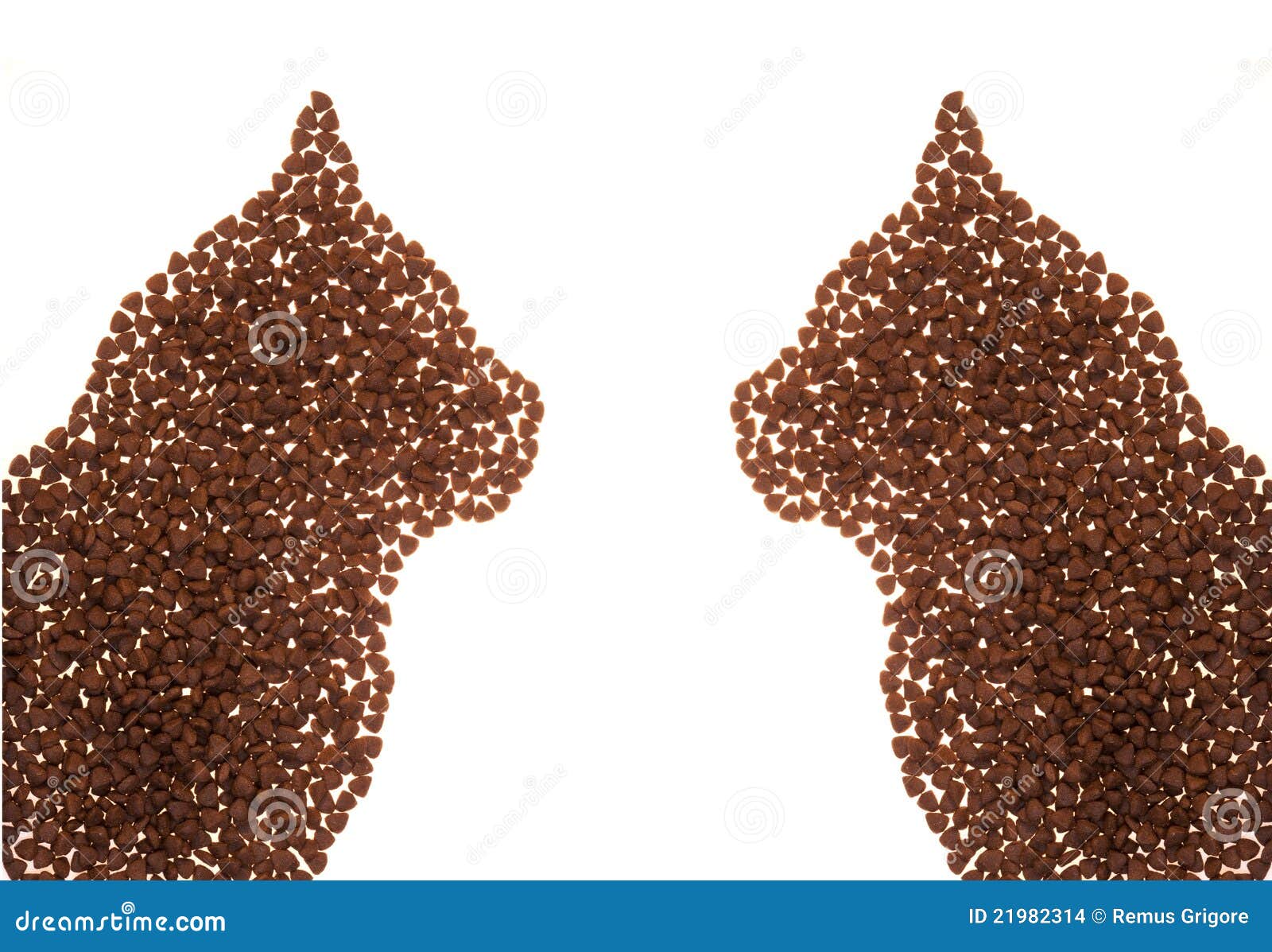 Cat food shape stock photo. Image of snack, symmetric - 21982314