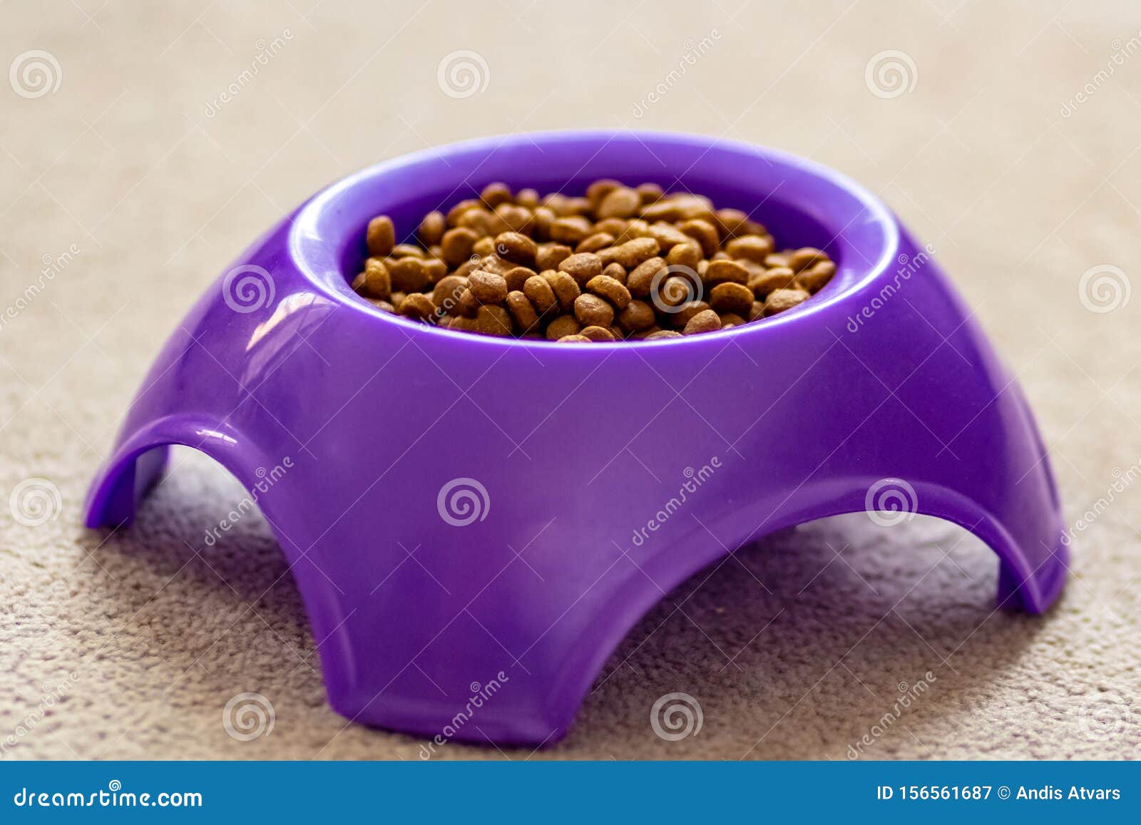 Cat Food in Violet Bowl on Pastel Background Stock Image - Image of ...